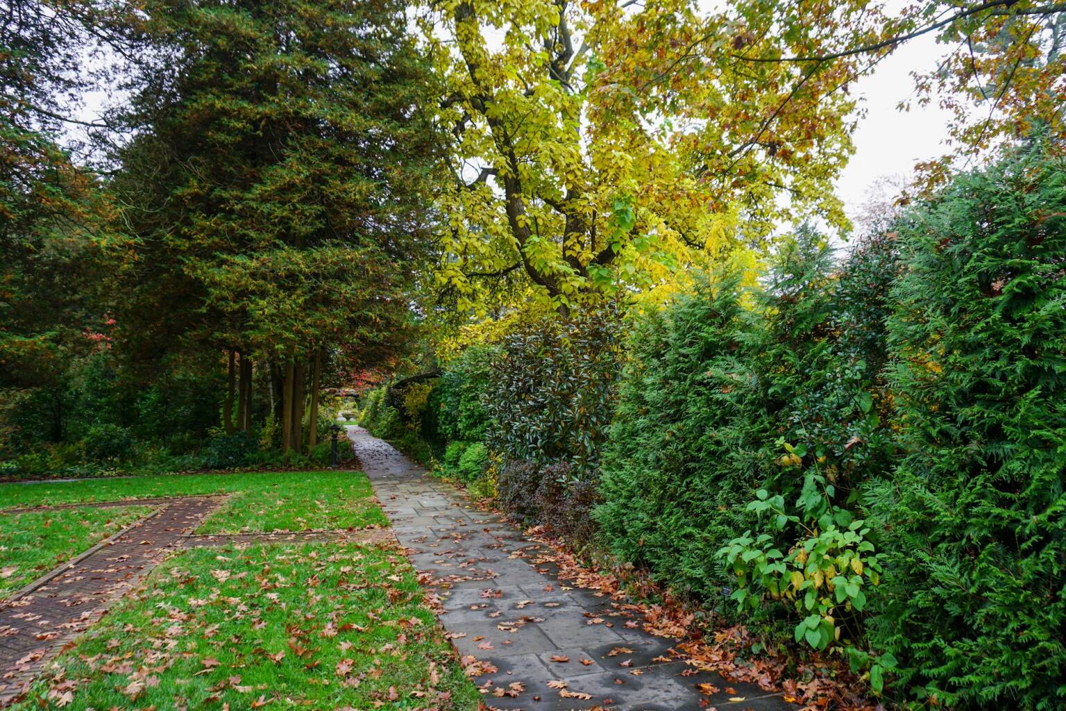 Plant-O-Rama 2025: This Year's Symposium Focused on Managing ...