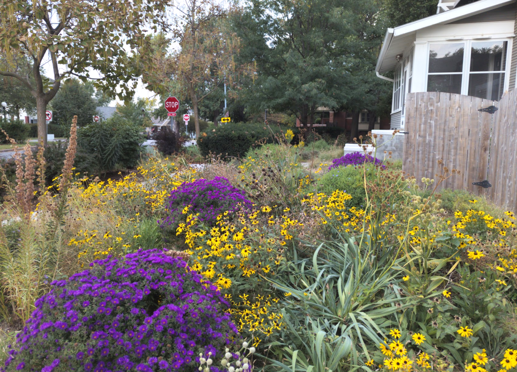 An Interview with Benjamin Vogt, Founder of Prairie Up and No-Lawn Advocate