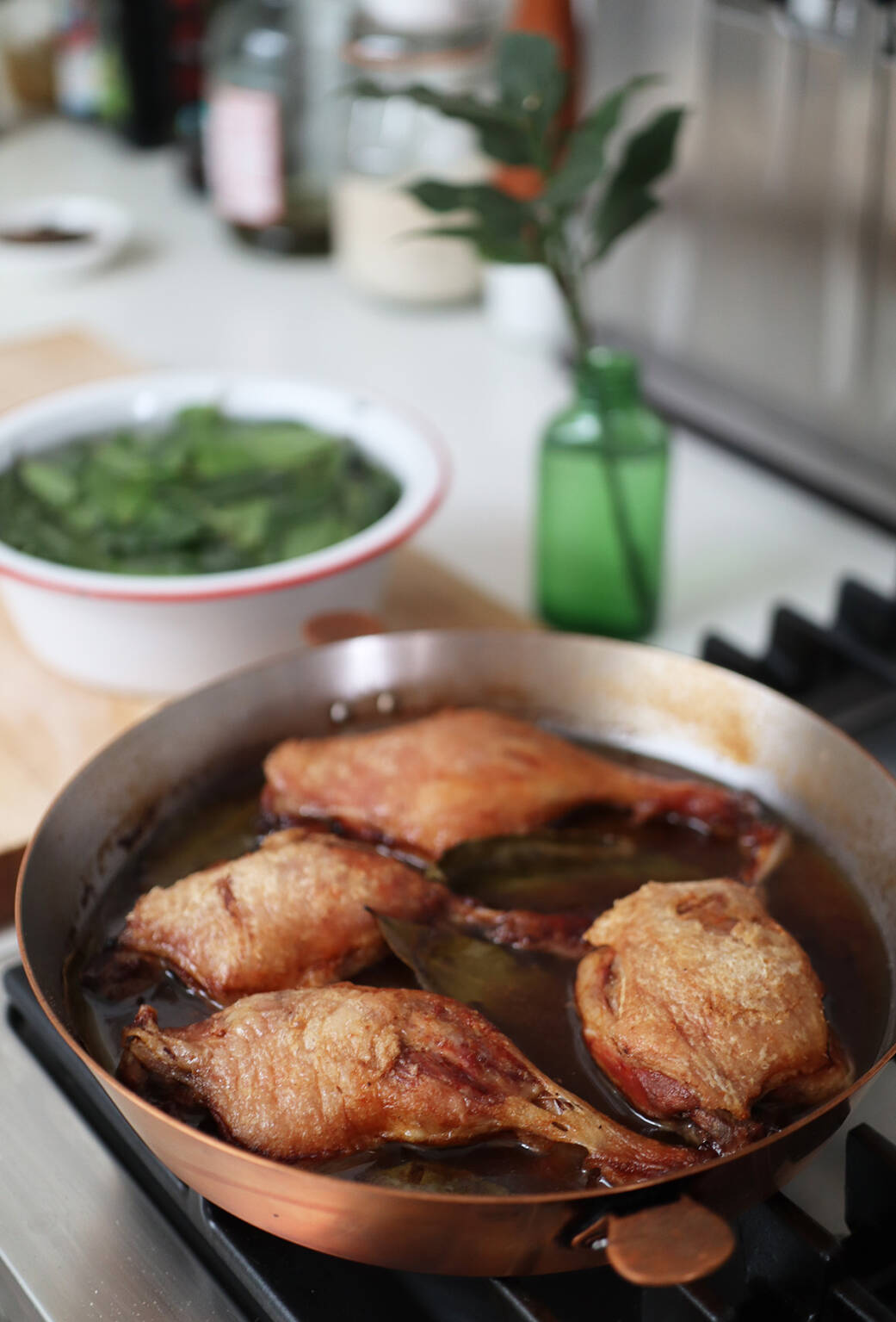 Bay Tree: The Evergreen Indoor Houseplant Grows Fresh Bay Leaves Year-Round