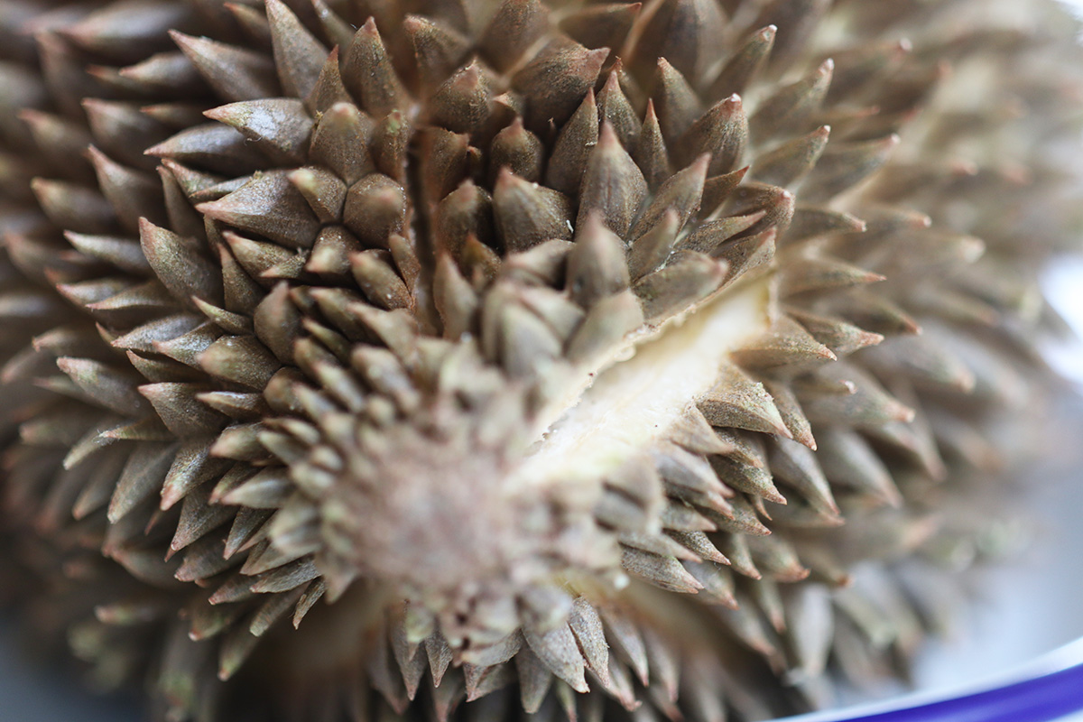Durian Ice Cream: A Recipe Featuring the Stinky Tropical Fruit