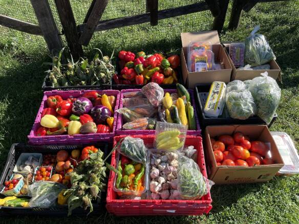 How Gardening Can Help Gardeners Connect with Their Communities