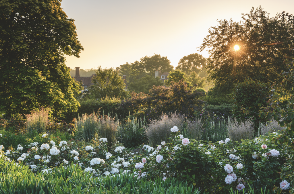 James Ingram's New Book: 'How to Photograph Gardens' Shares Practical ...