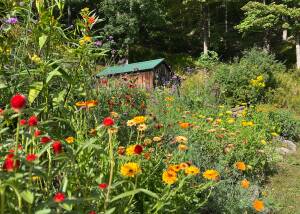 How Gardening Can Help Gardeners Connect with Their Communities