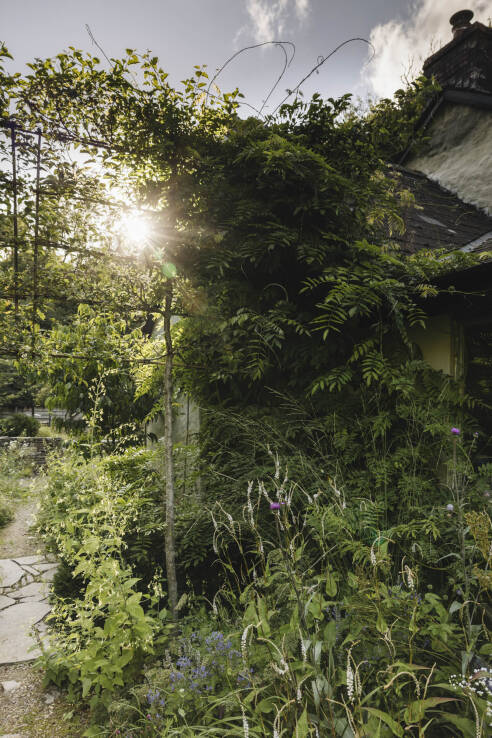 Garden Designers Harry and David Rich's Cottage Garden in Wales Is Like ...