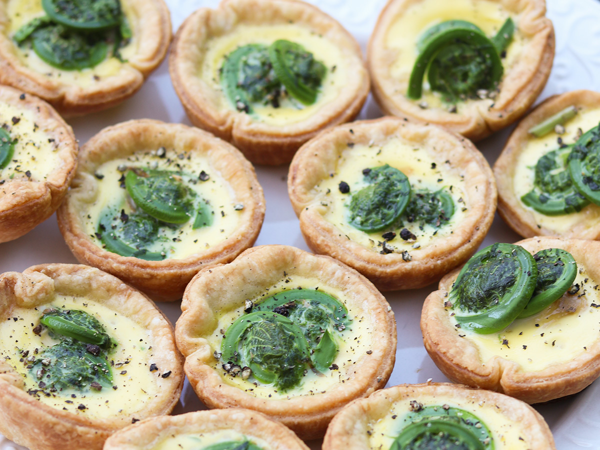 Ostrich Ferns Make Edible Fiddlheads: Grow Your Own