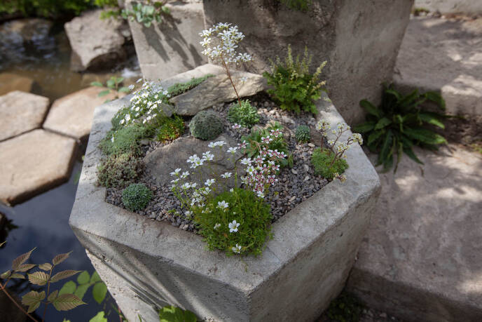 Chelsea Flower Show 2025: Top Garden Design Trends from this Year's Show