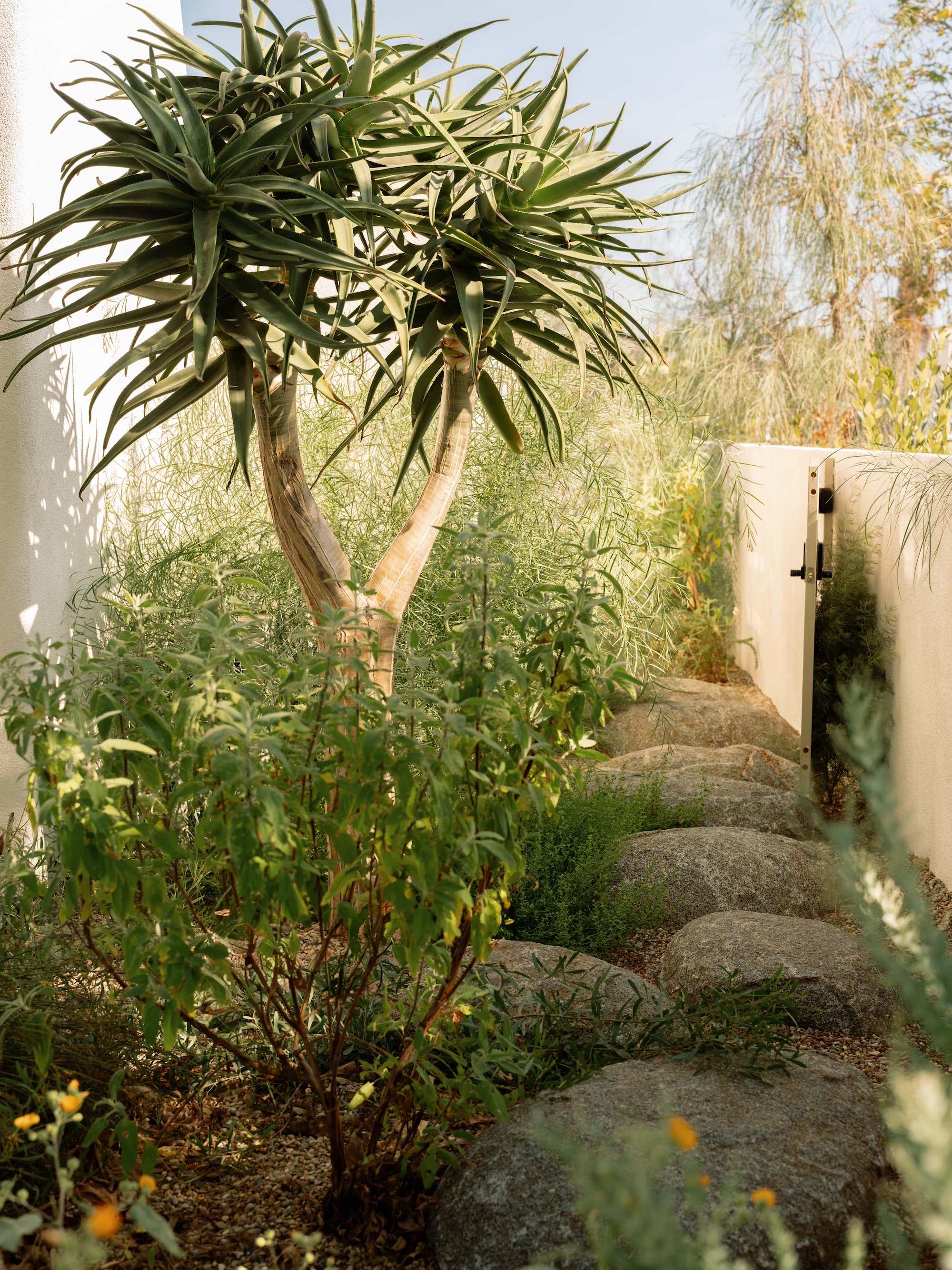 ORCA's Landscape Redesign of a House Designed by Cliff May Is the ...