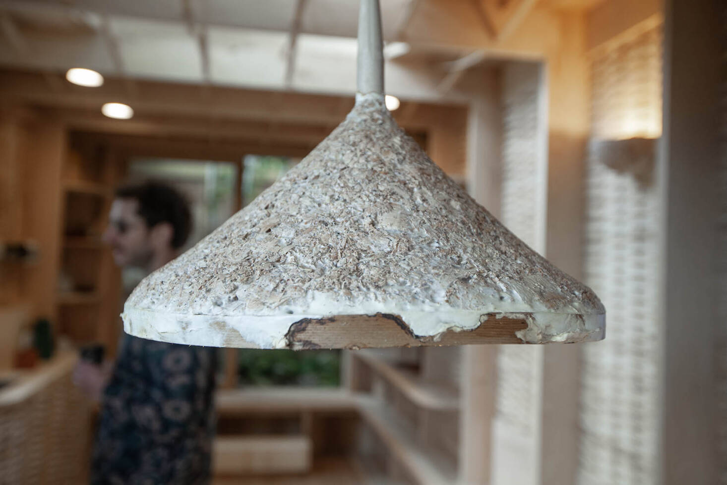 Tom Massey's Garden at the 2025 Chelsea Flower Show Features a Pavilion Made of Mycelium and Wood