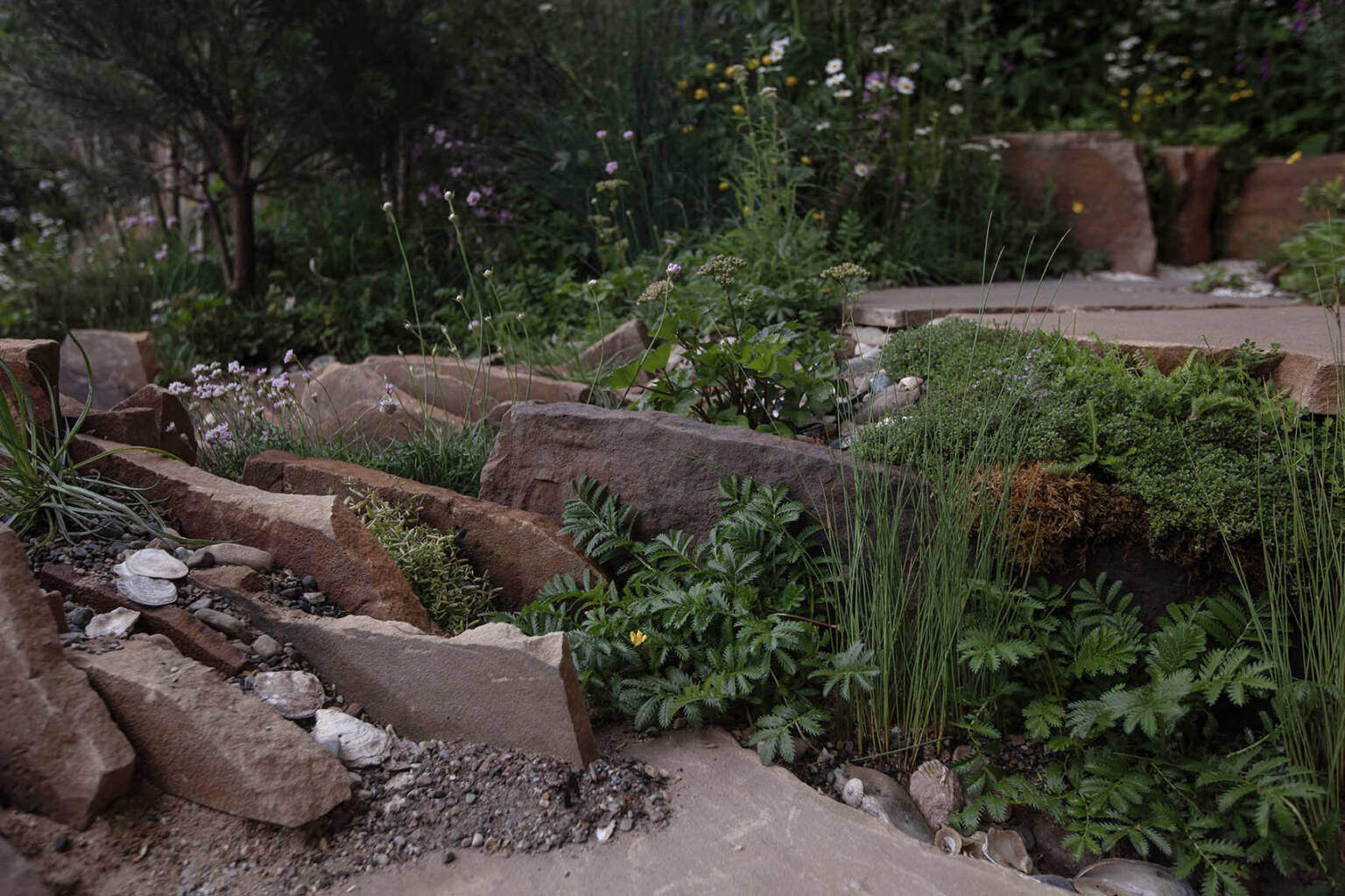 Chelsea Flower Show 2025: Top Garden Design Trends from this Year's Show