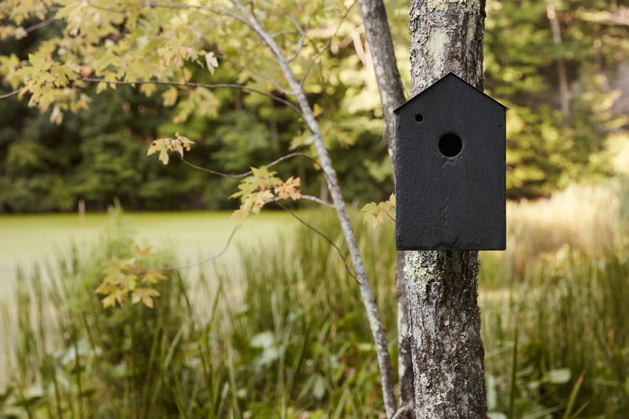 Modern Architectural Birdhouses: Our Favorites for the Garden