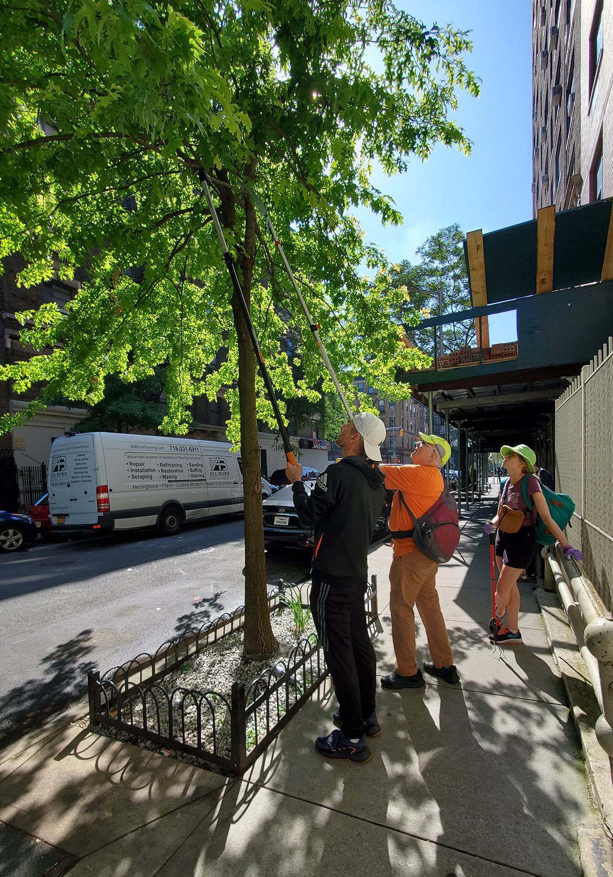 Citizen Pruners certification allows anyone to care for the street ...