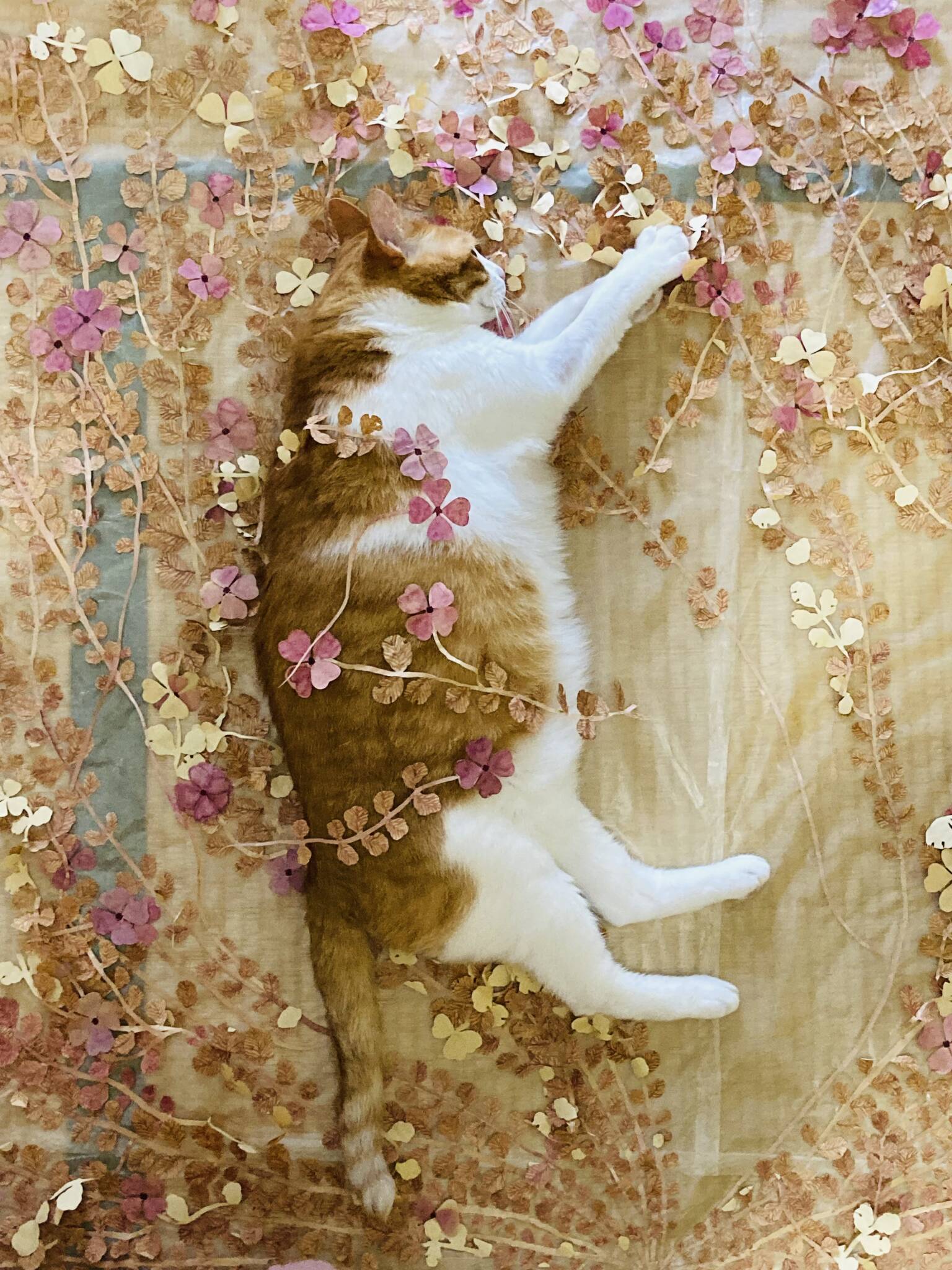 Artist Fumi Imamura Creates Beguiling Flower Collages