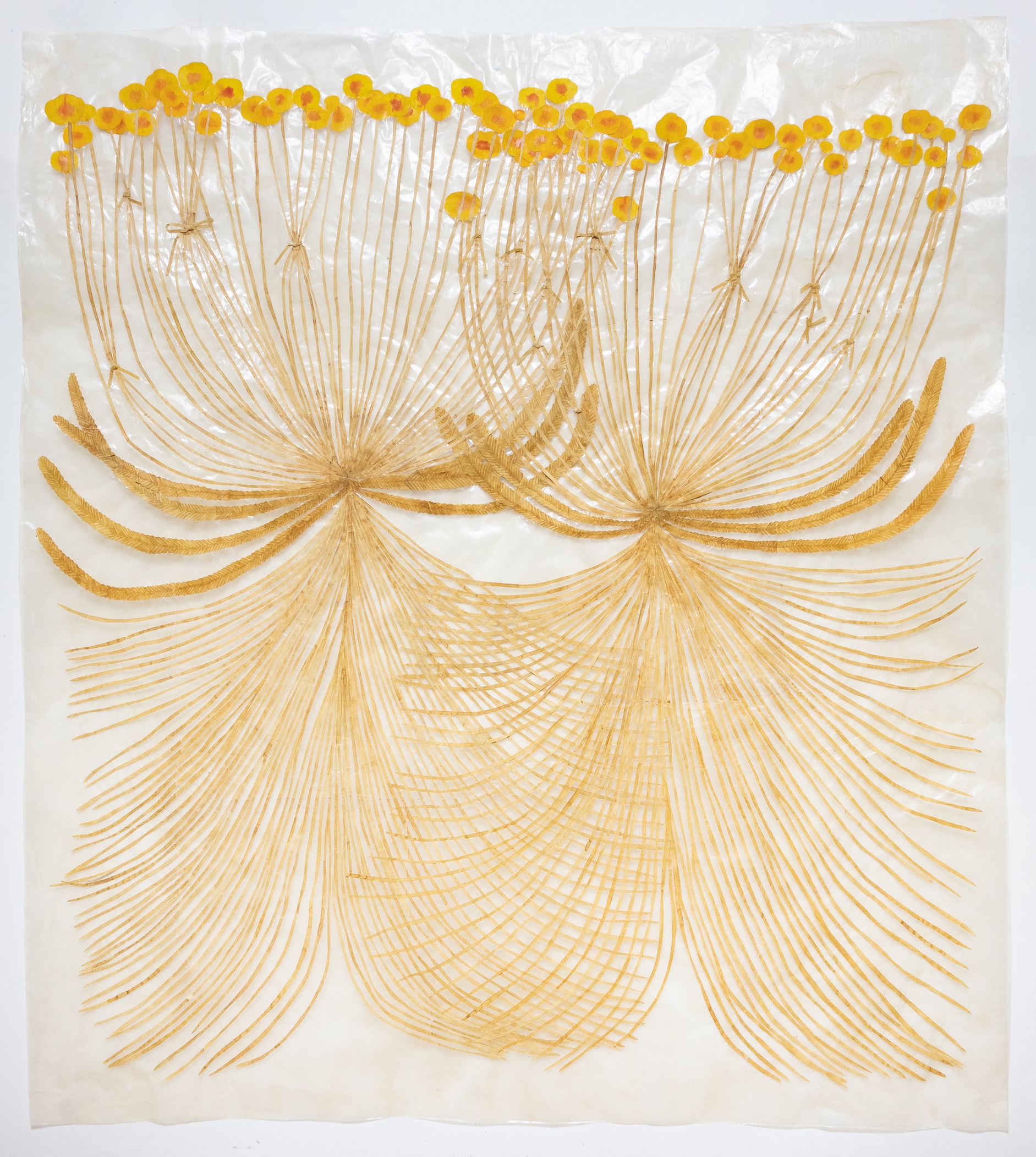 Artist Fumi Imamura Creates Beguiling Flower Collages