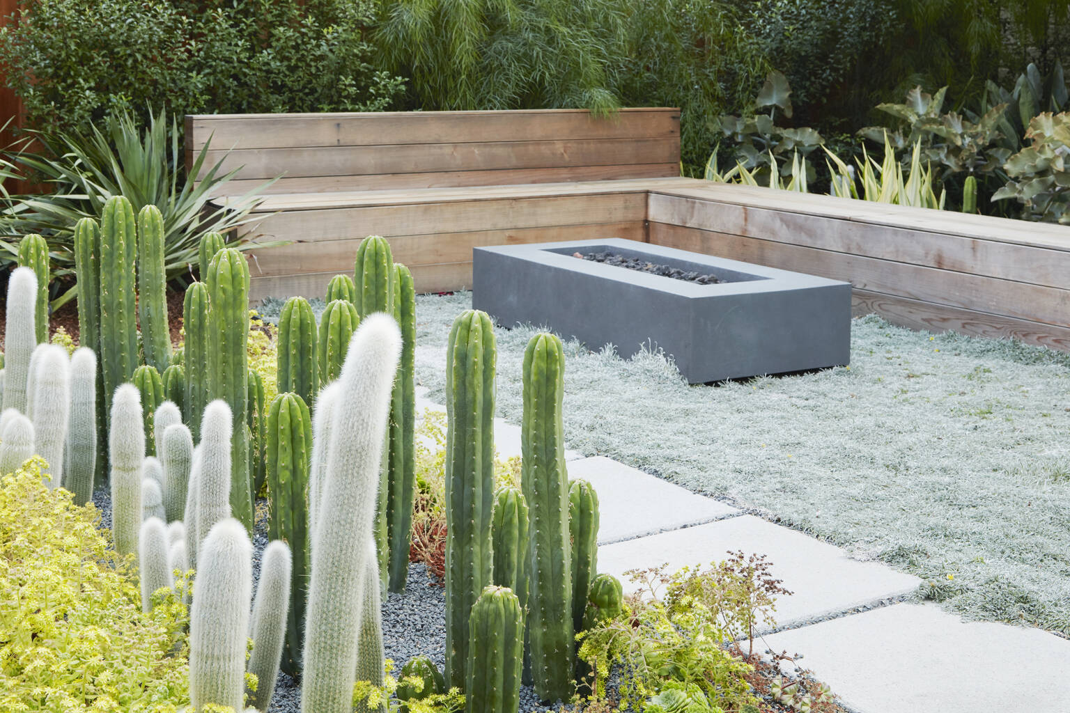 Daniel Nolan: An Interview with the Bay Area Landscape Designer