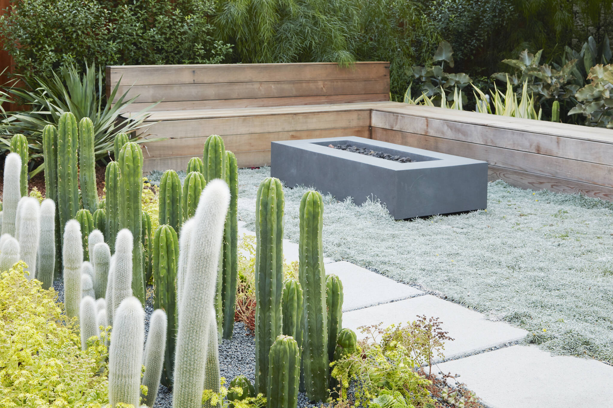 Daniel Nolan: An Interview with the Bay Area Landscape Designer