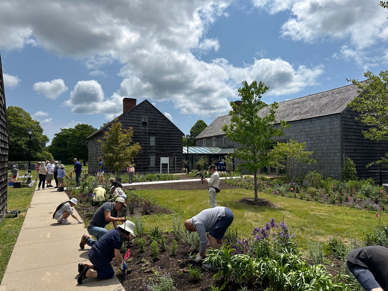 East Hampton's Town Hall Is Transformed Into a Pollinator Garden