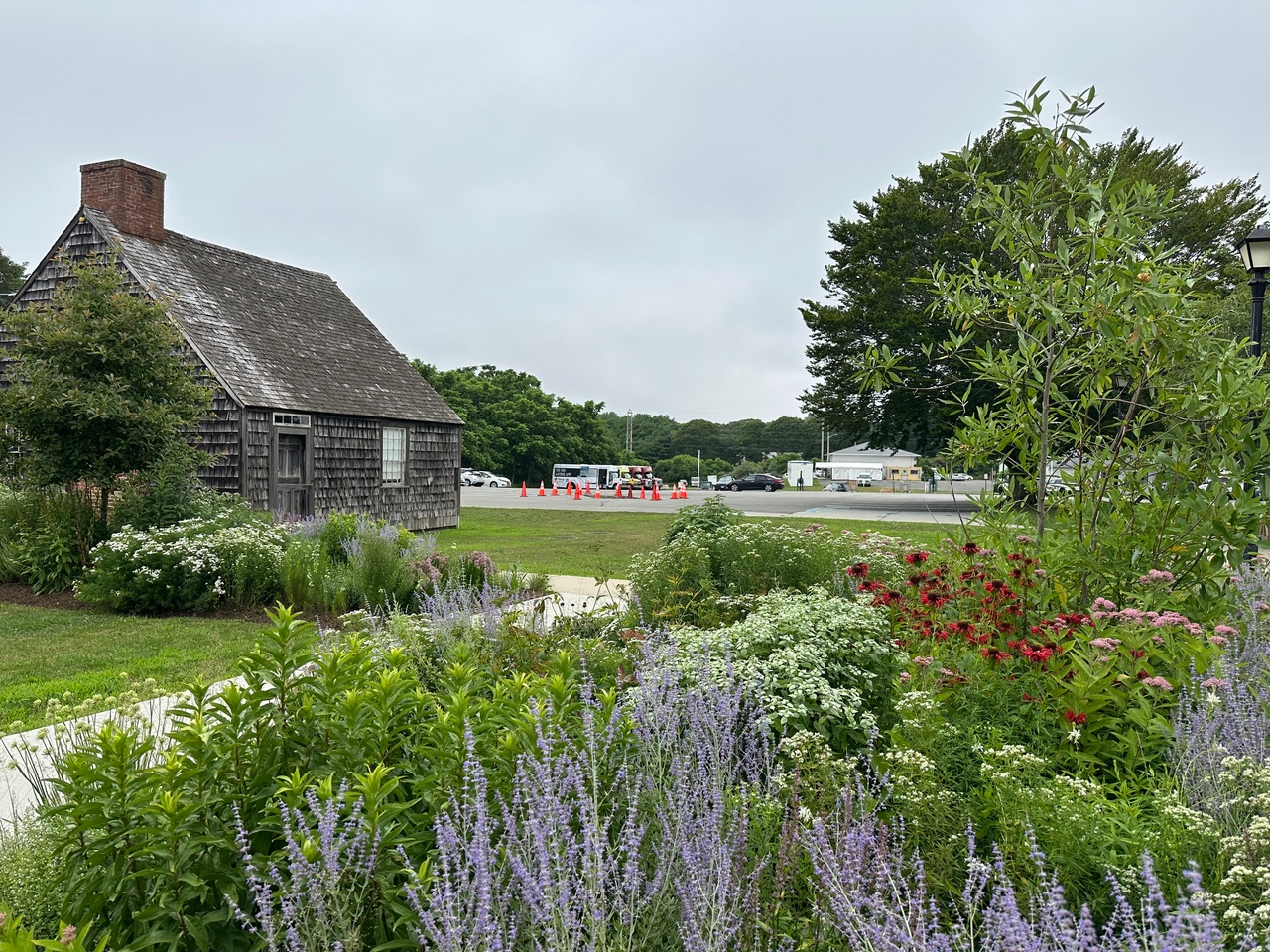 East Hampton's Town Hall Is Transformed Into a Pollinator Garden
