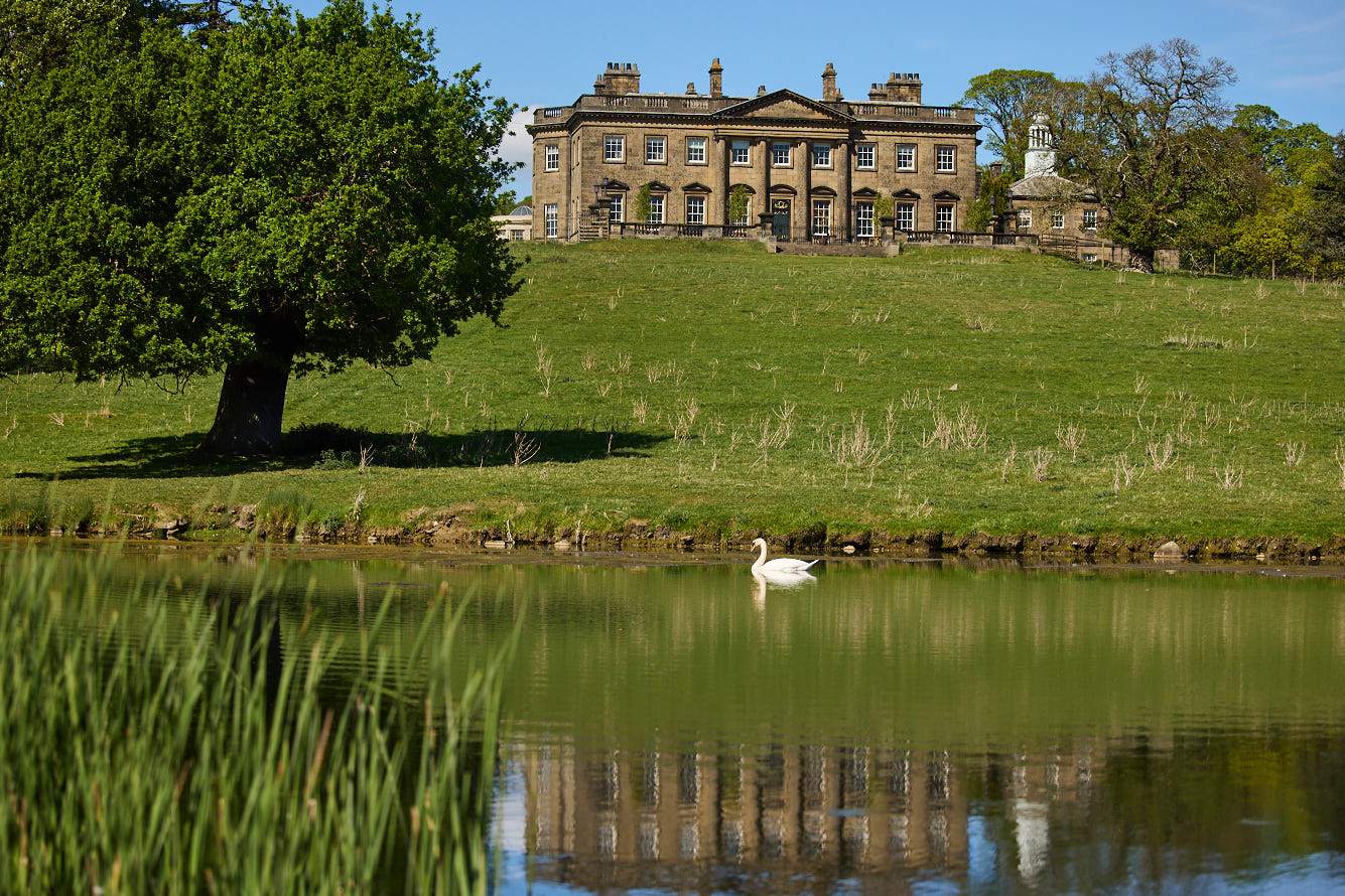 Denton Reserve: The Yorkshire Estate's Land Recovery Project