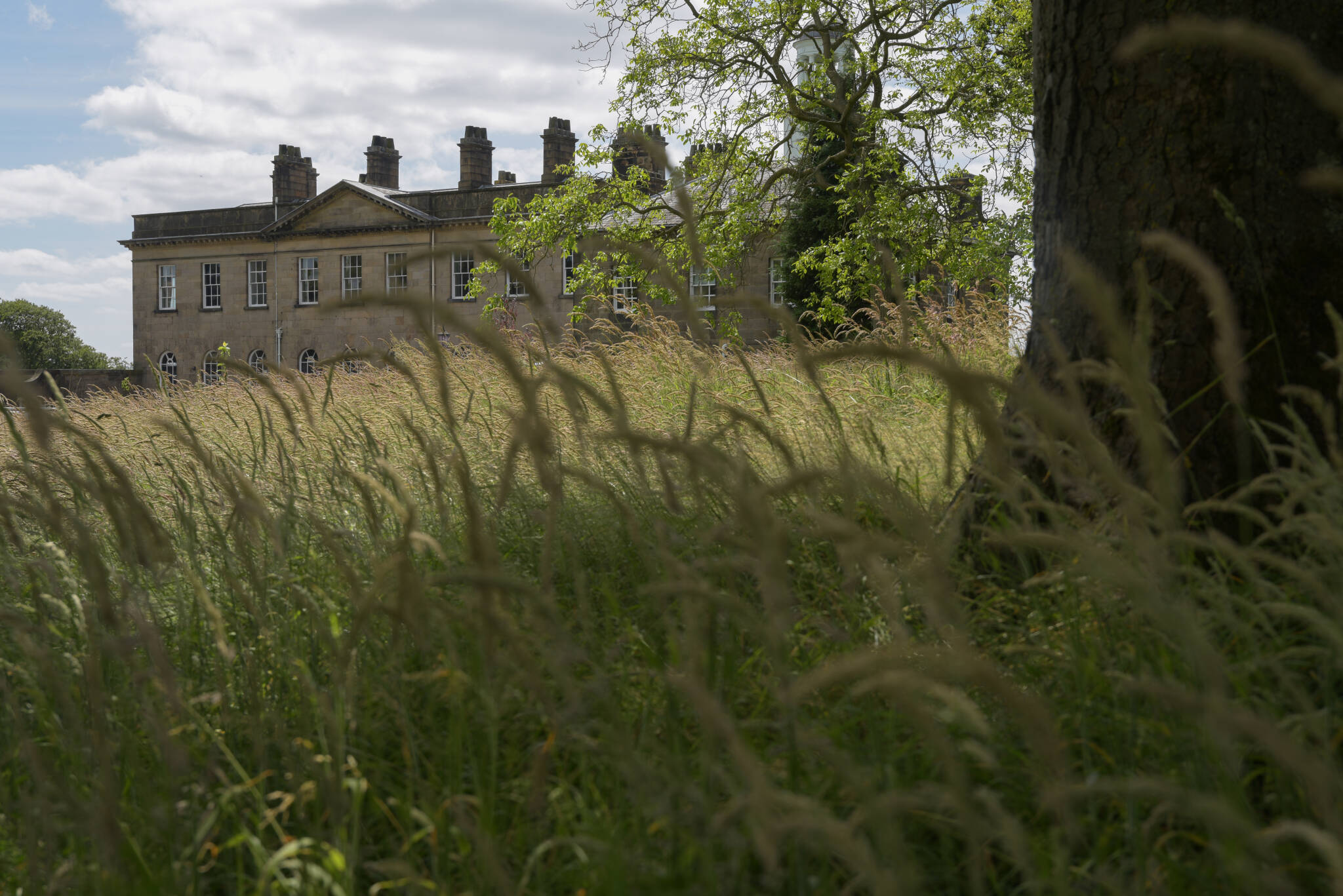 Denton Reserve: The Yorkshire Estate's Land Recovery Project