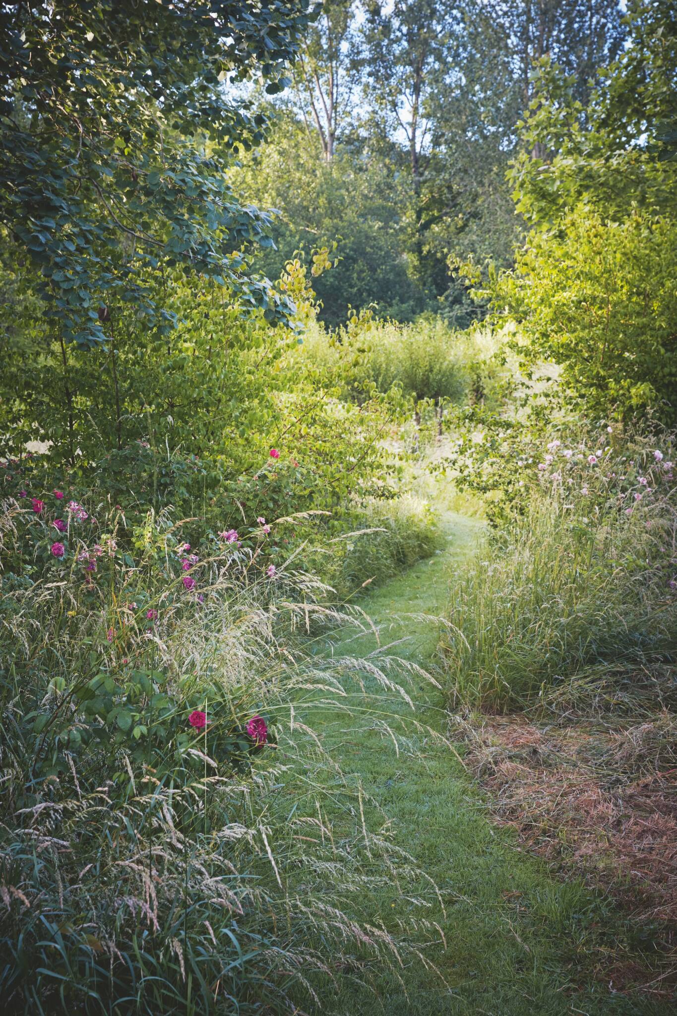 Tania Compton's Spilsbury Farm, As Featured in Ngoc Minh Ngo's 'Roses in the Garden'