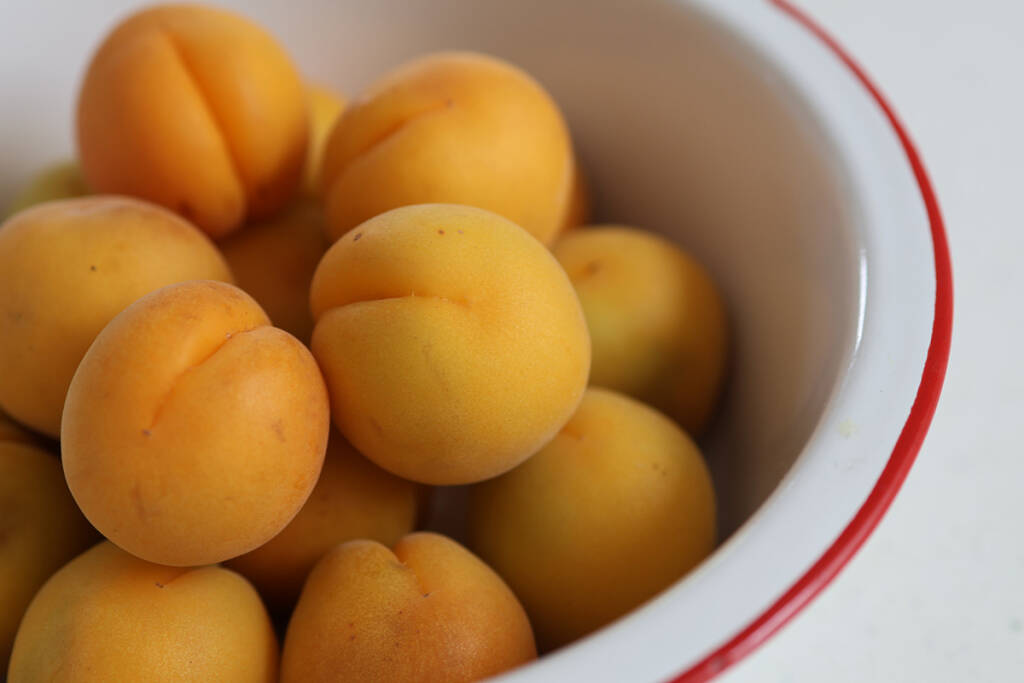 Umeboshi: A Traditional Japanese Pickle to Make at Home - Gardenista