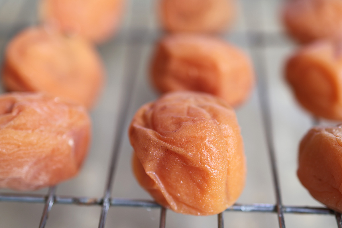 Umeboshi: A Traditional Japanese Pickle to Make at Home - Gardenista