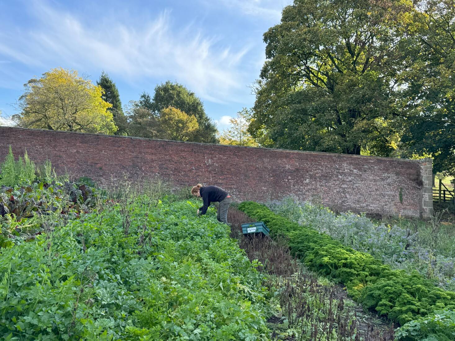 Denton Reserve: The Yorkshire Estate's Land Recovery Project