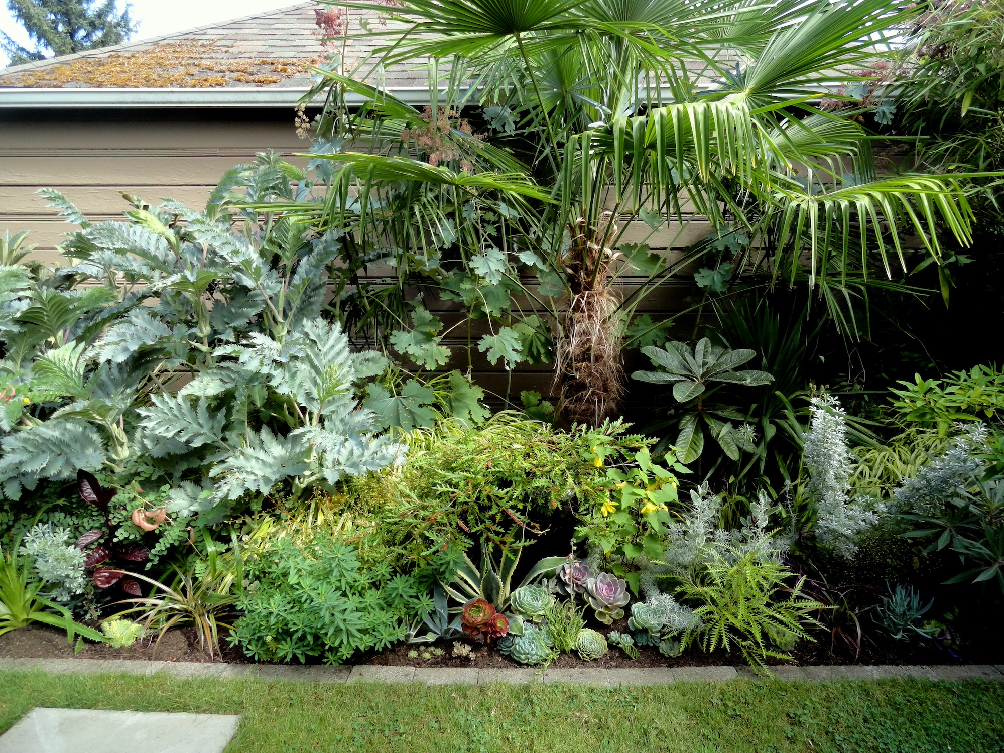 What Is Cramscaping? Everything You Want to Know About the Garden ...