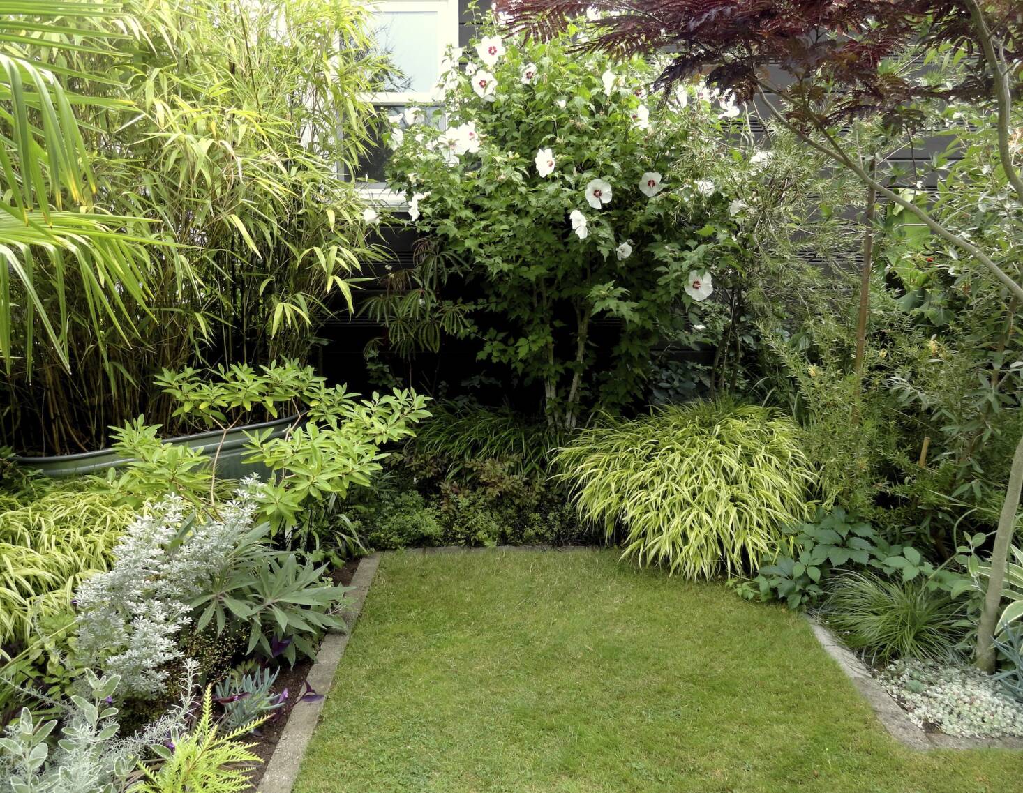 What Is Cramscaping? Everything You Want to Know About the Garden ...