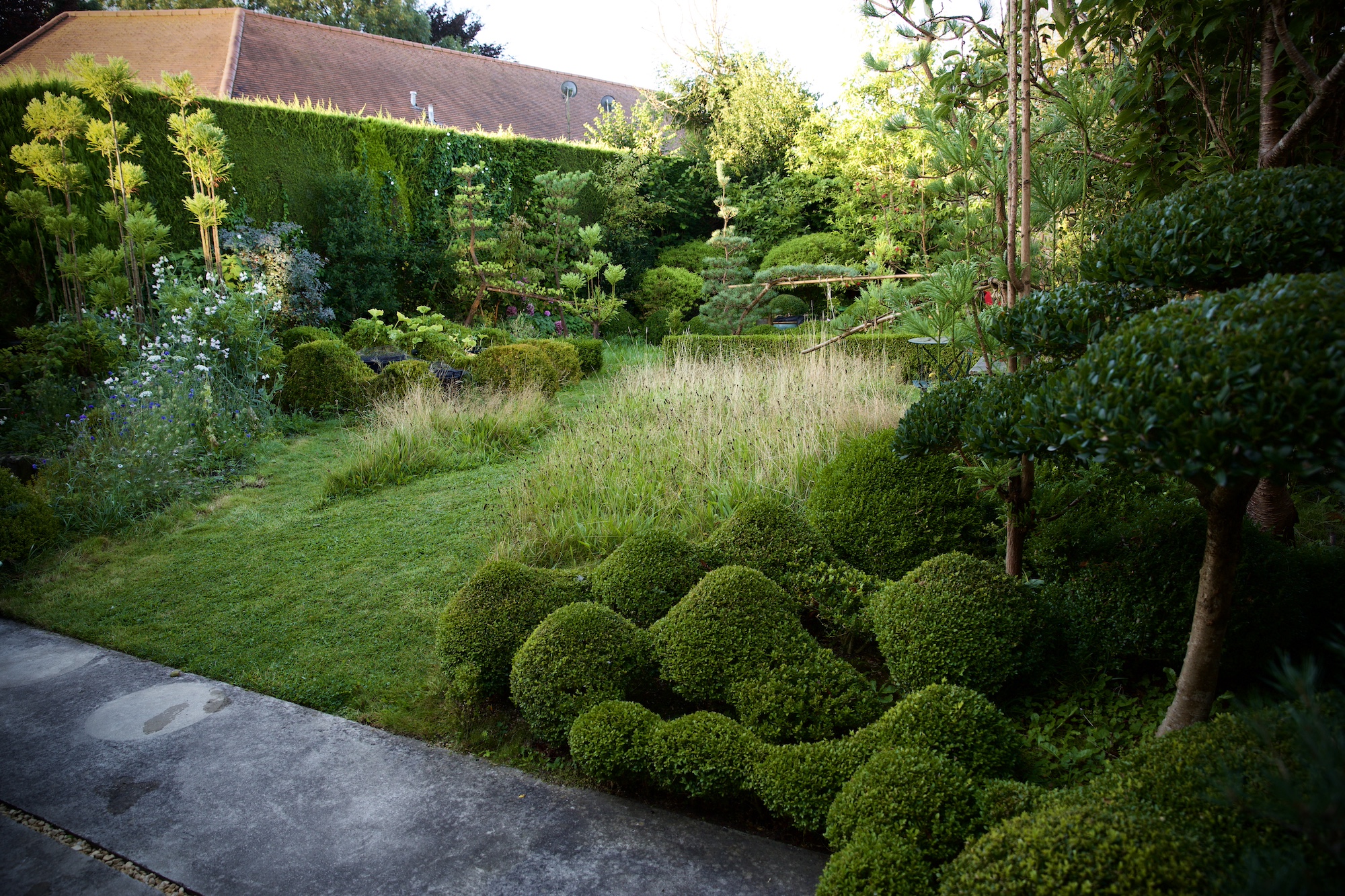 Jake Hobson's Garden: A Tour of the Niwaki Founder's Mini-Forest Backyard