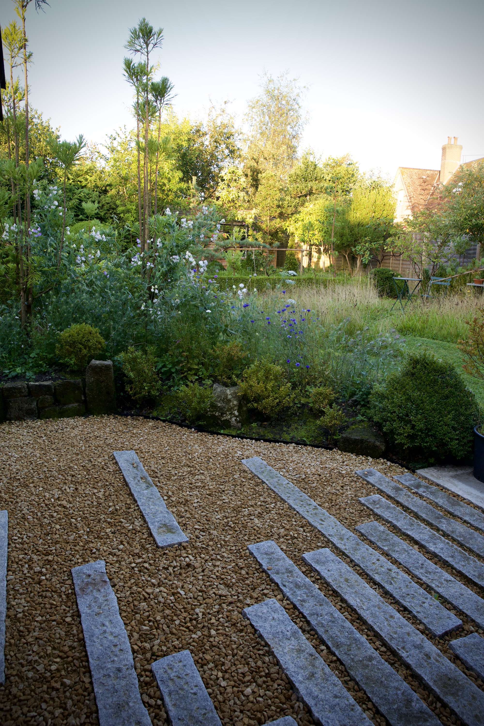 Jake Hobson's Garden: A Tour of the Niwaki Founder's Mini-Forest Backyard