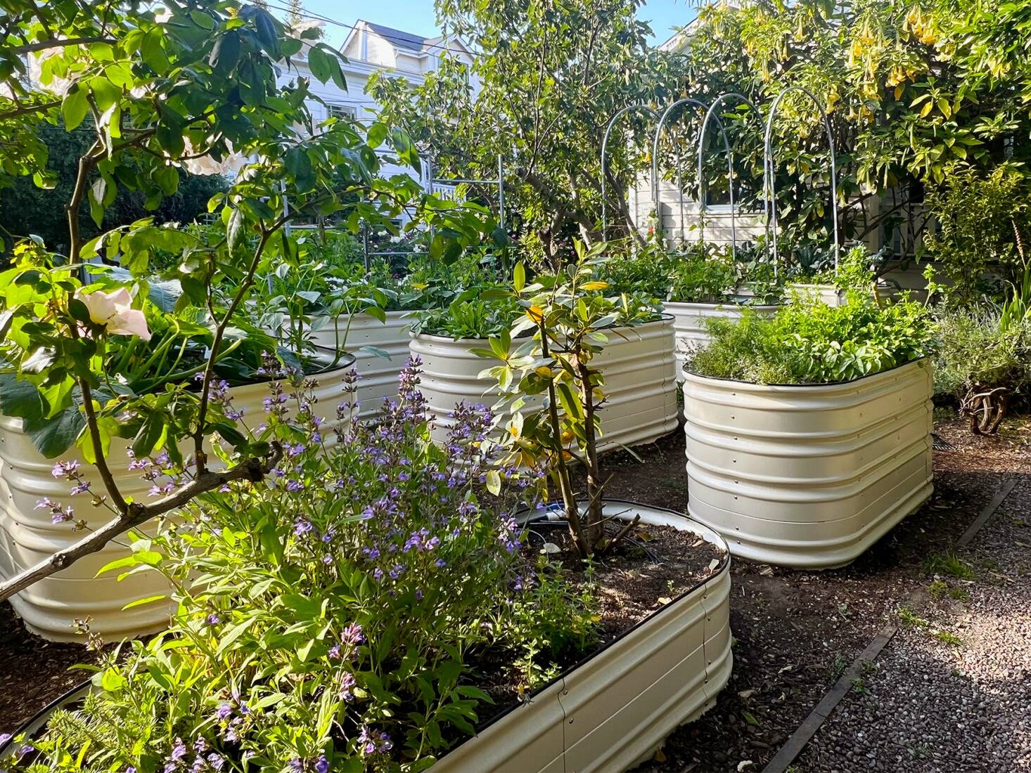 Samin Nosrat's Communal Courtyard Garden in Oakland, CA