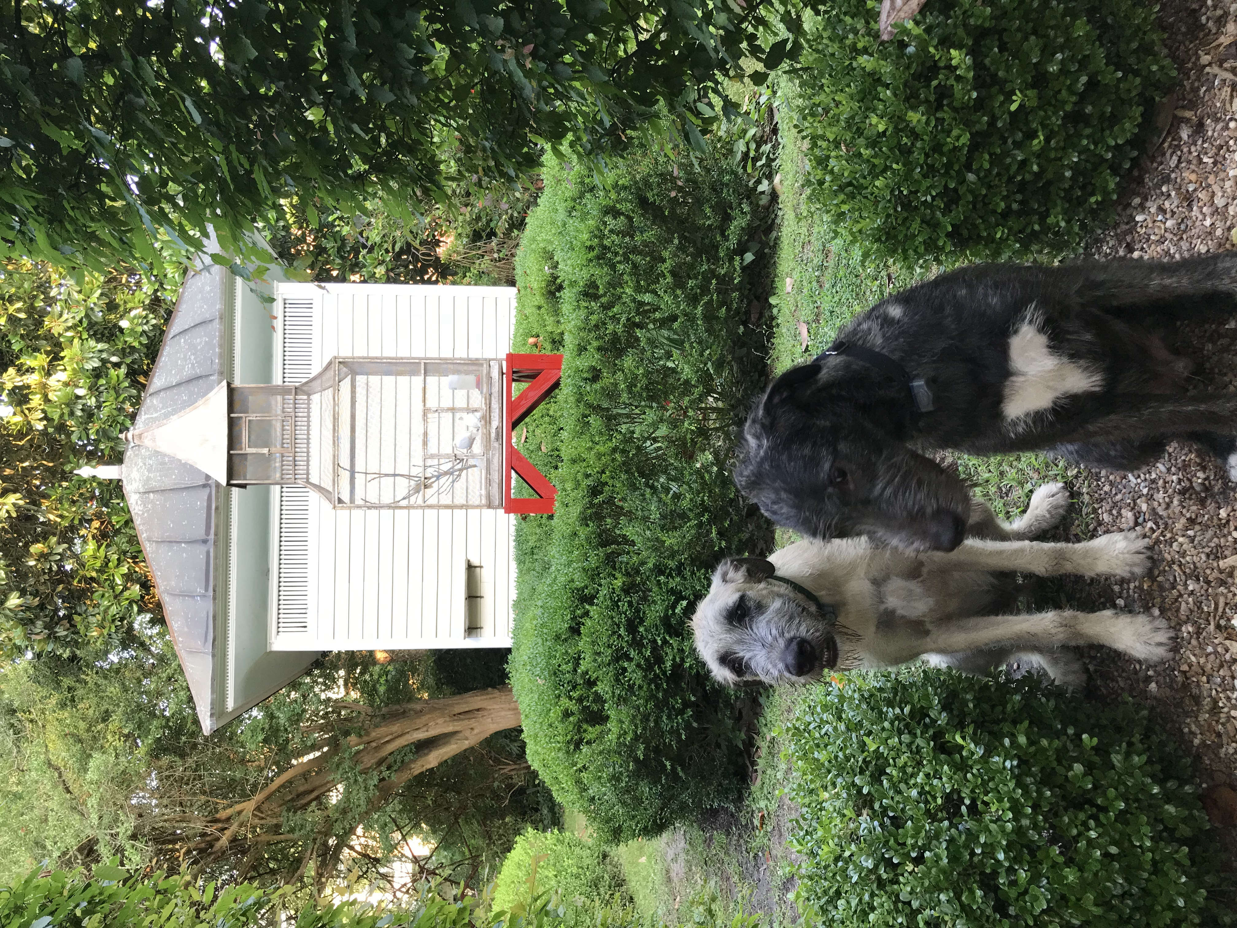 Restoration of Beverly Hall Garden - Gardenista
