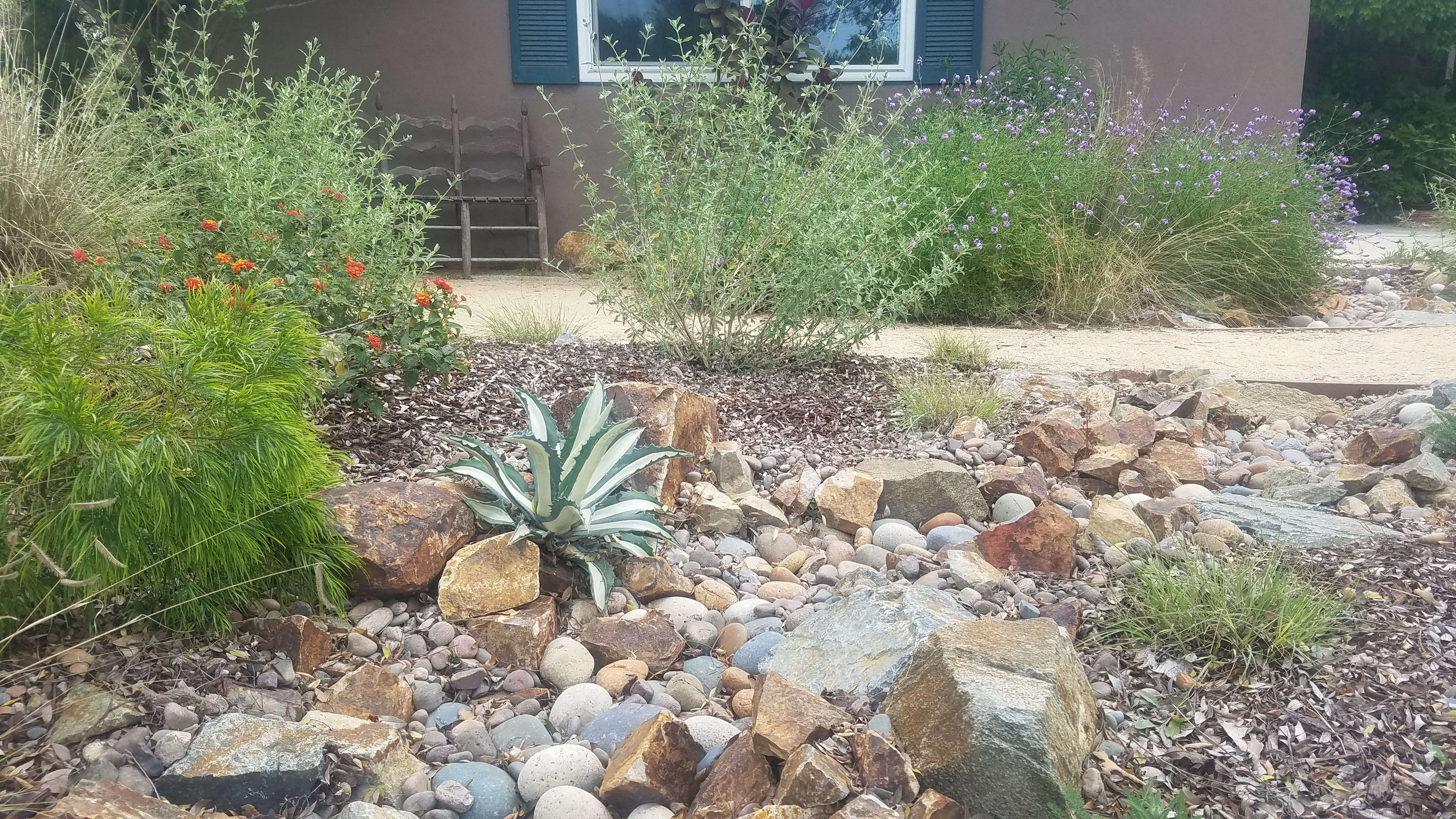 Ocean Friendly Front Yard - Gardenista