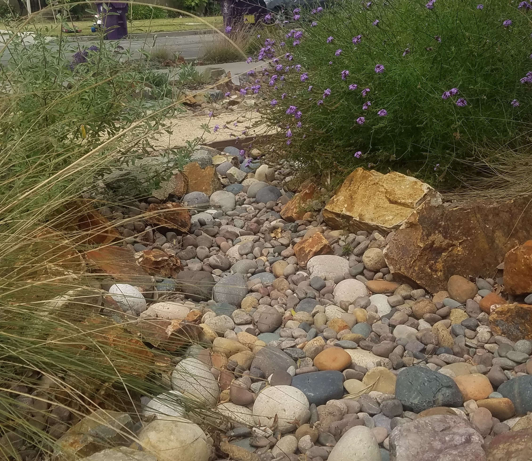 Ocean Friendly Front Yard - Gardenista