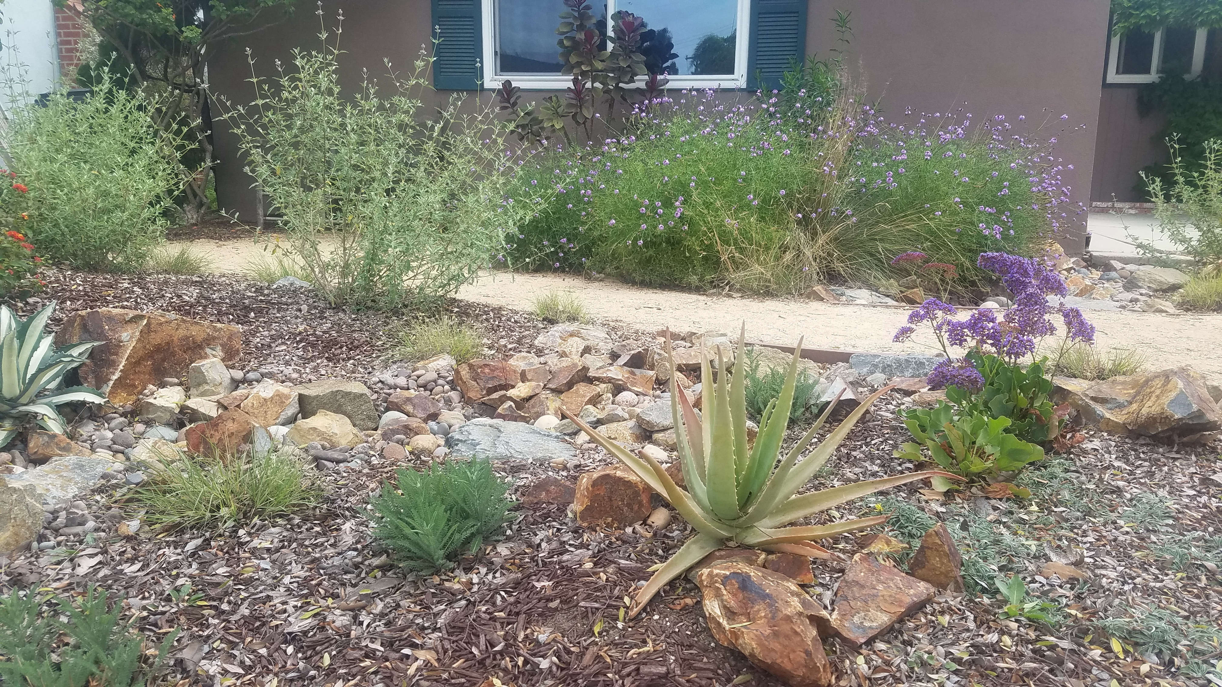 Ocean Friendly Front Yard - Gardenista