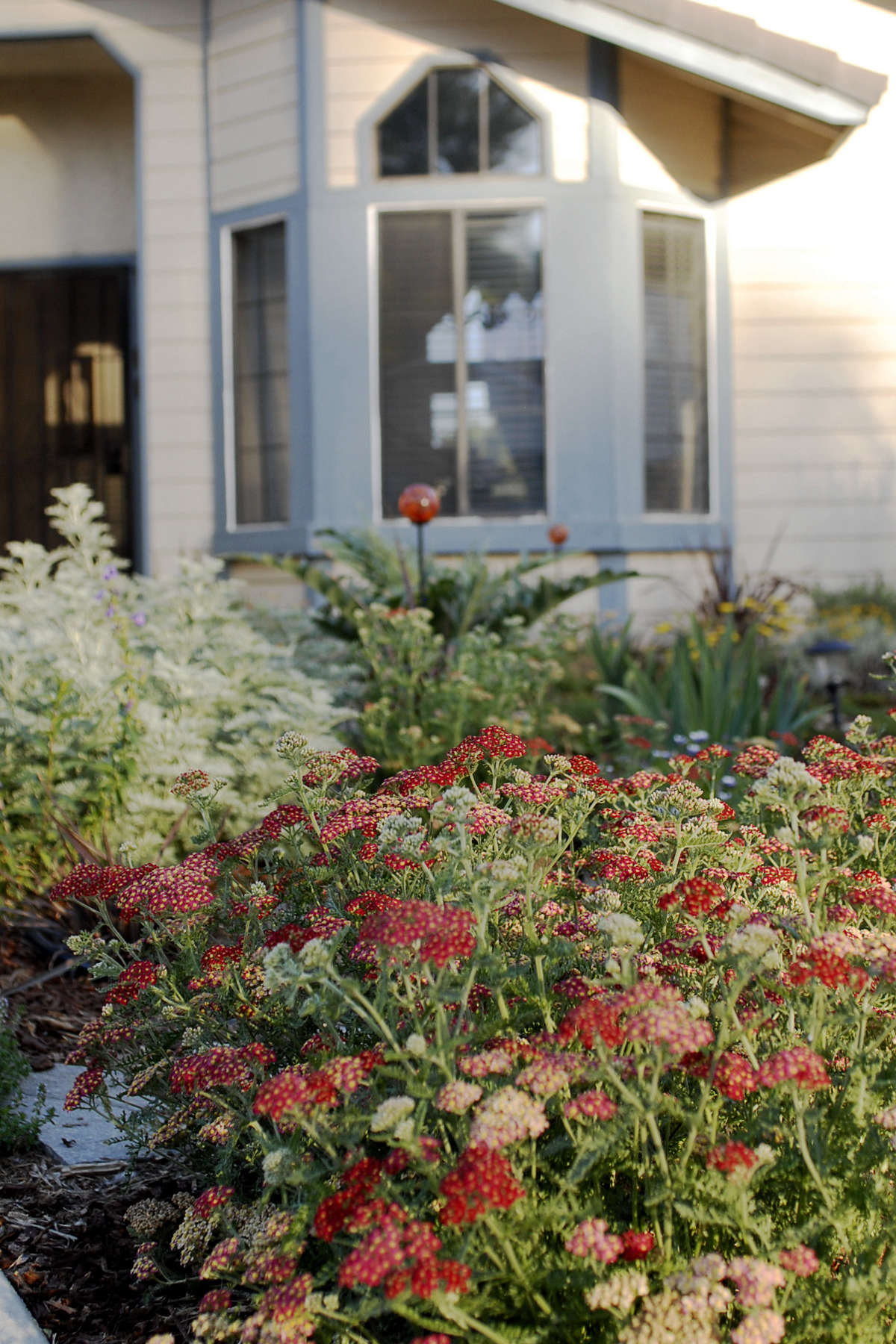 Lawnless Front Yard Garden - Gardenista