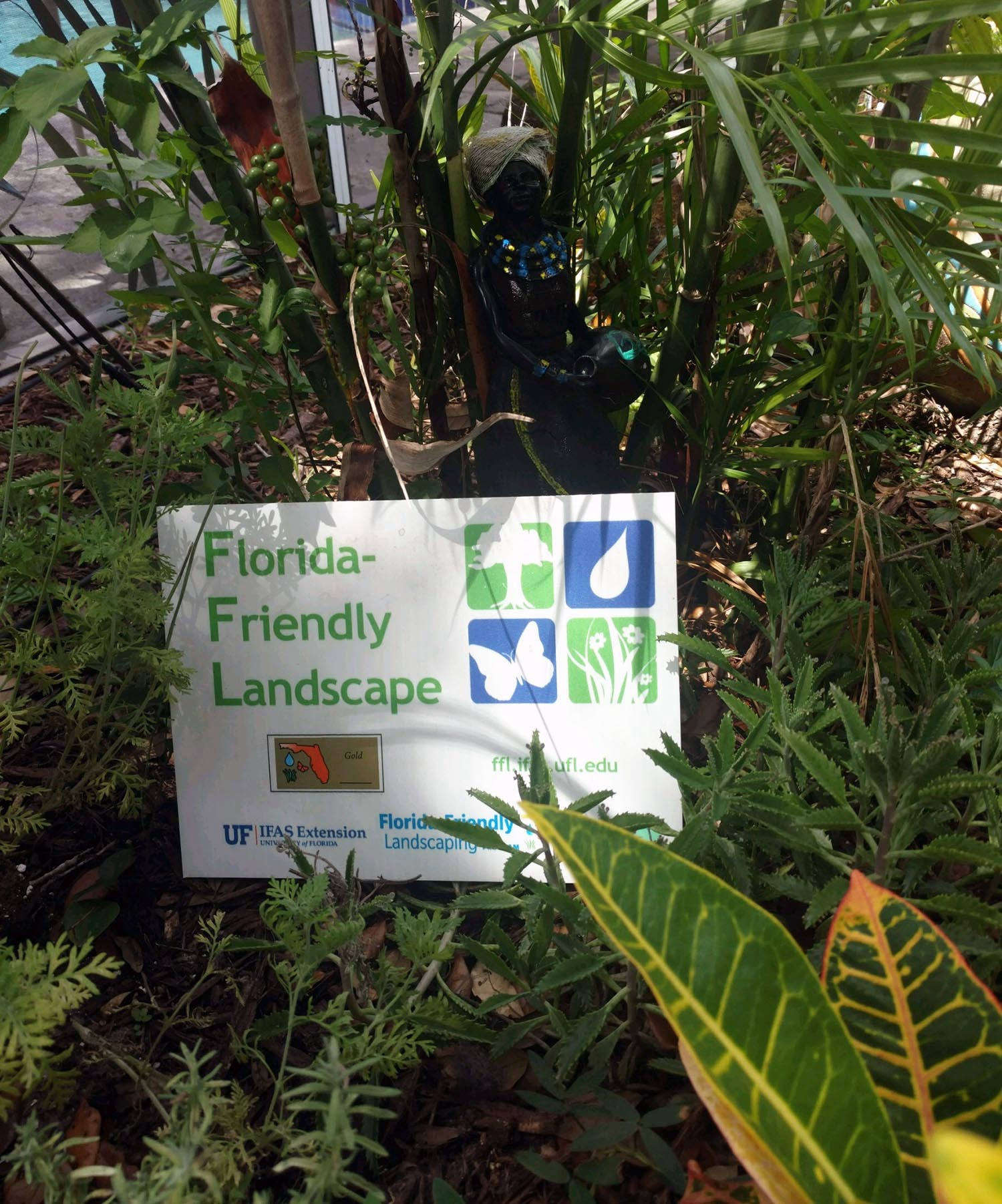 Garden Of Beleaf , A Tropical Retreat - Gardenista