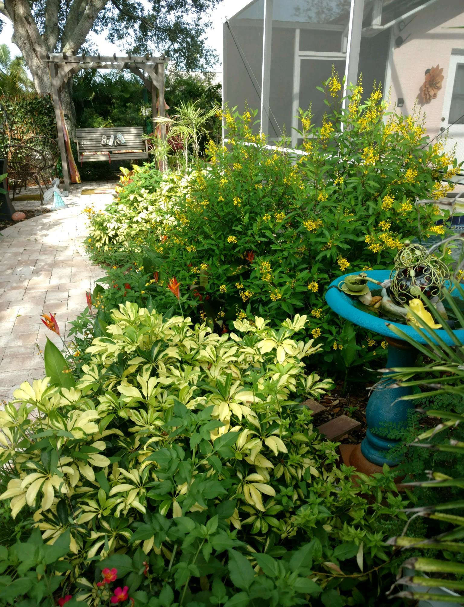 Garden Of Beleaf , A Tropical Retreat - Gardenista