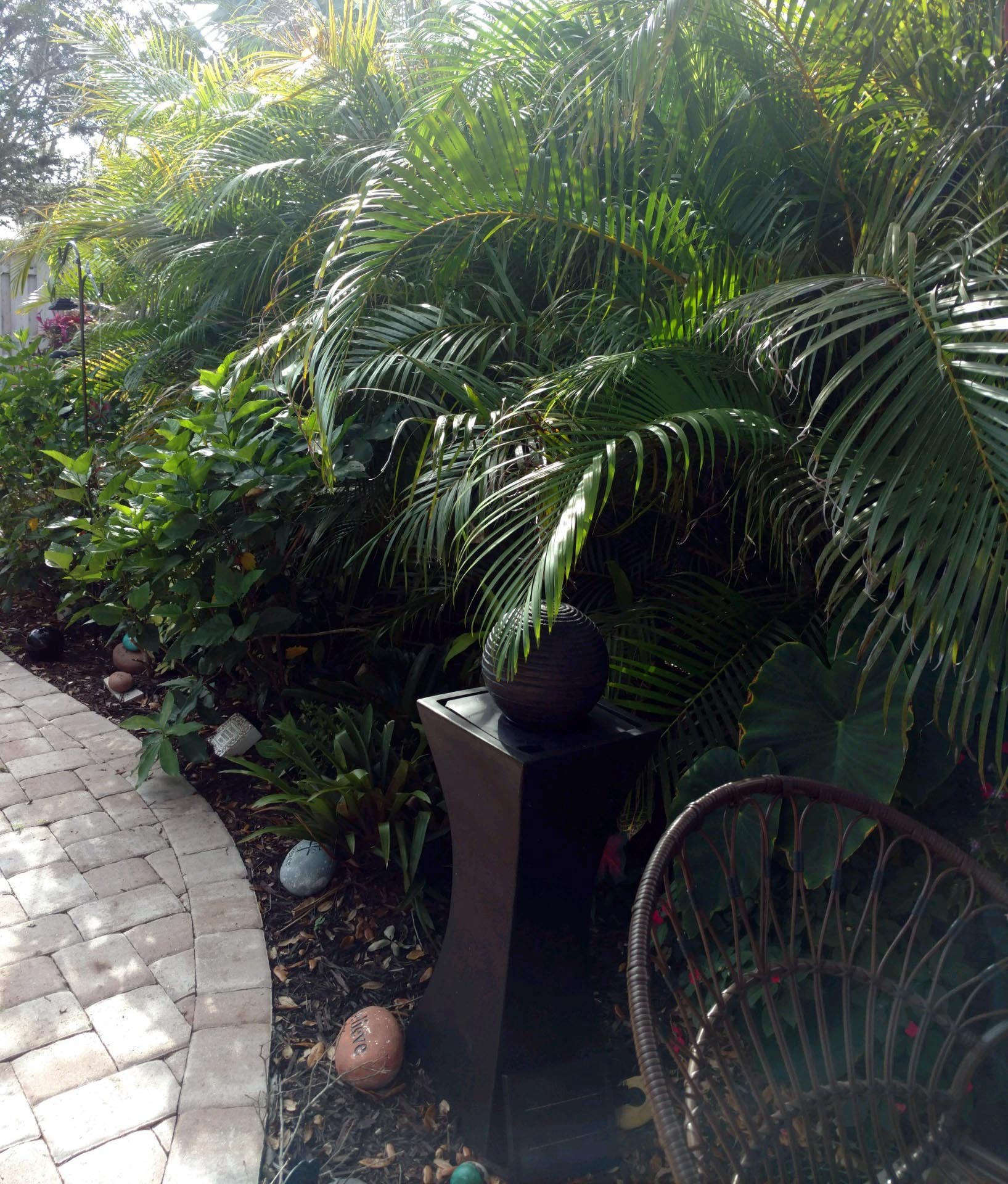 Garden Of Beleaf , A Tropical Retreat - Gardenista