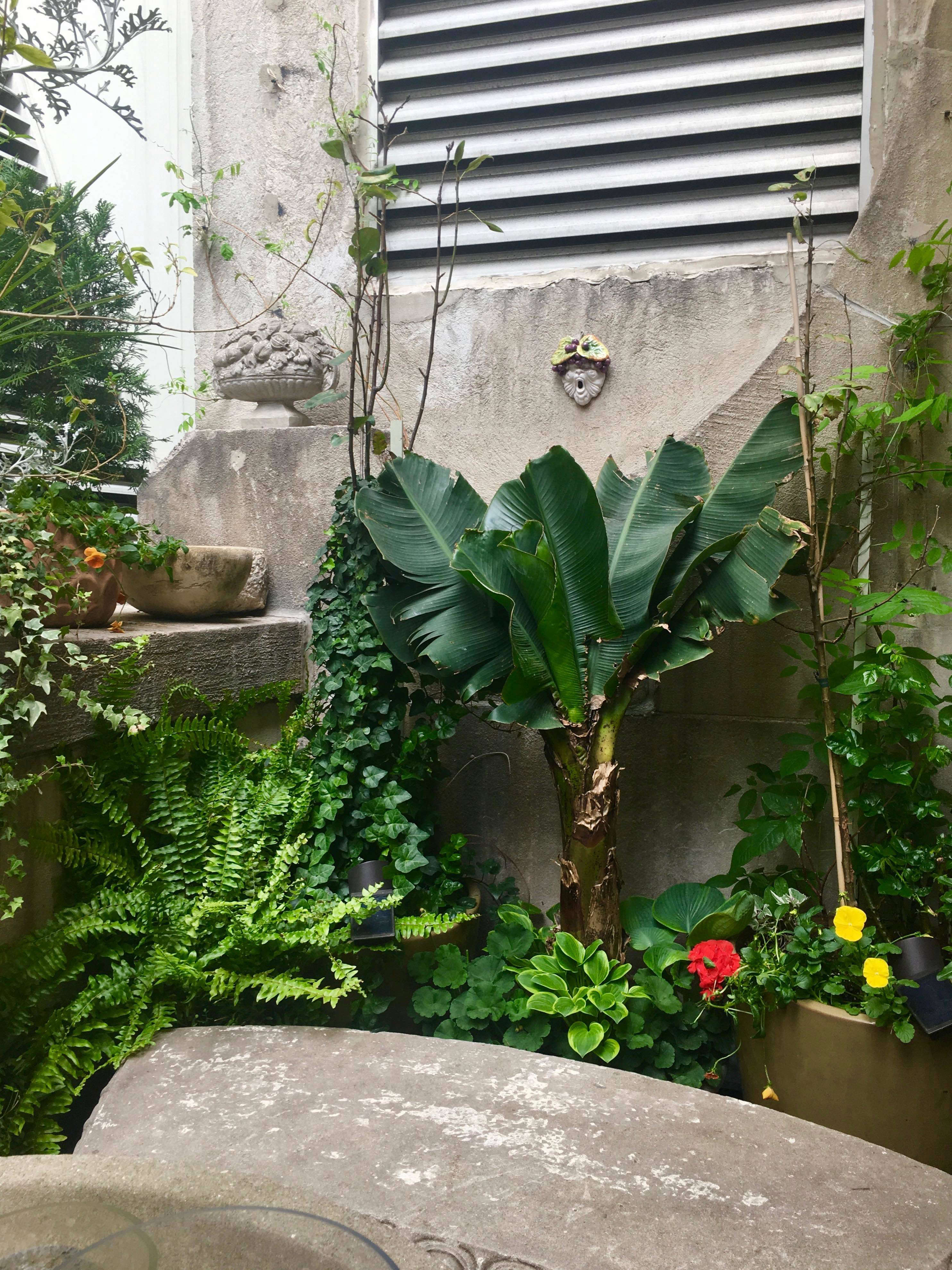 Terrace Garden - Gardenista