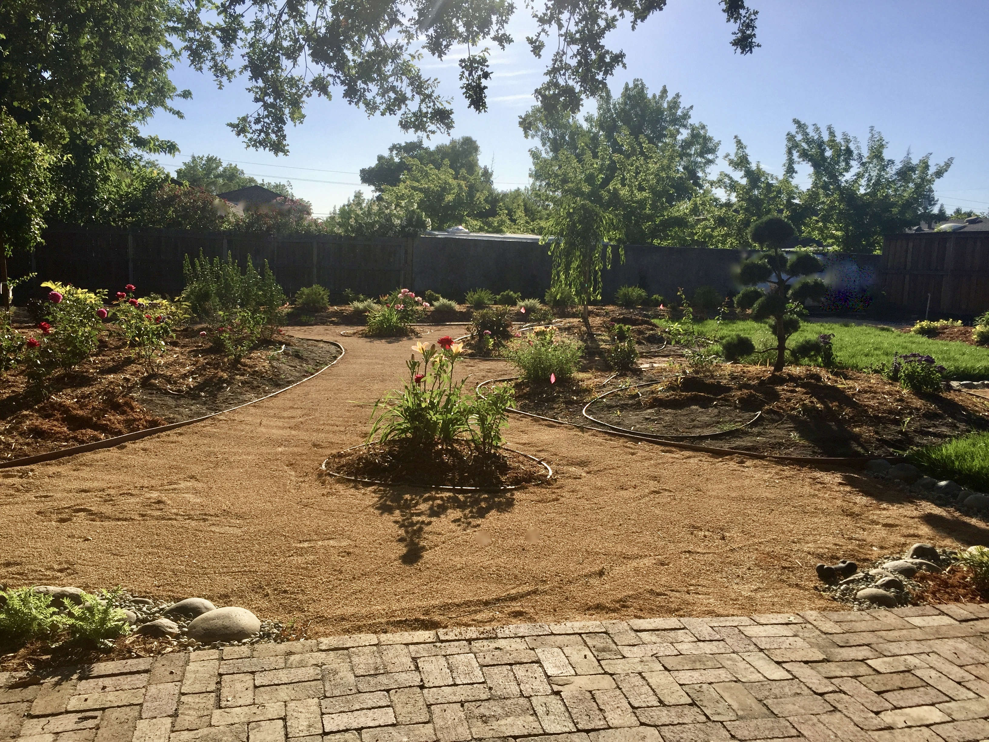 From Neglected Field to Botanical Beauty - Gardenista