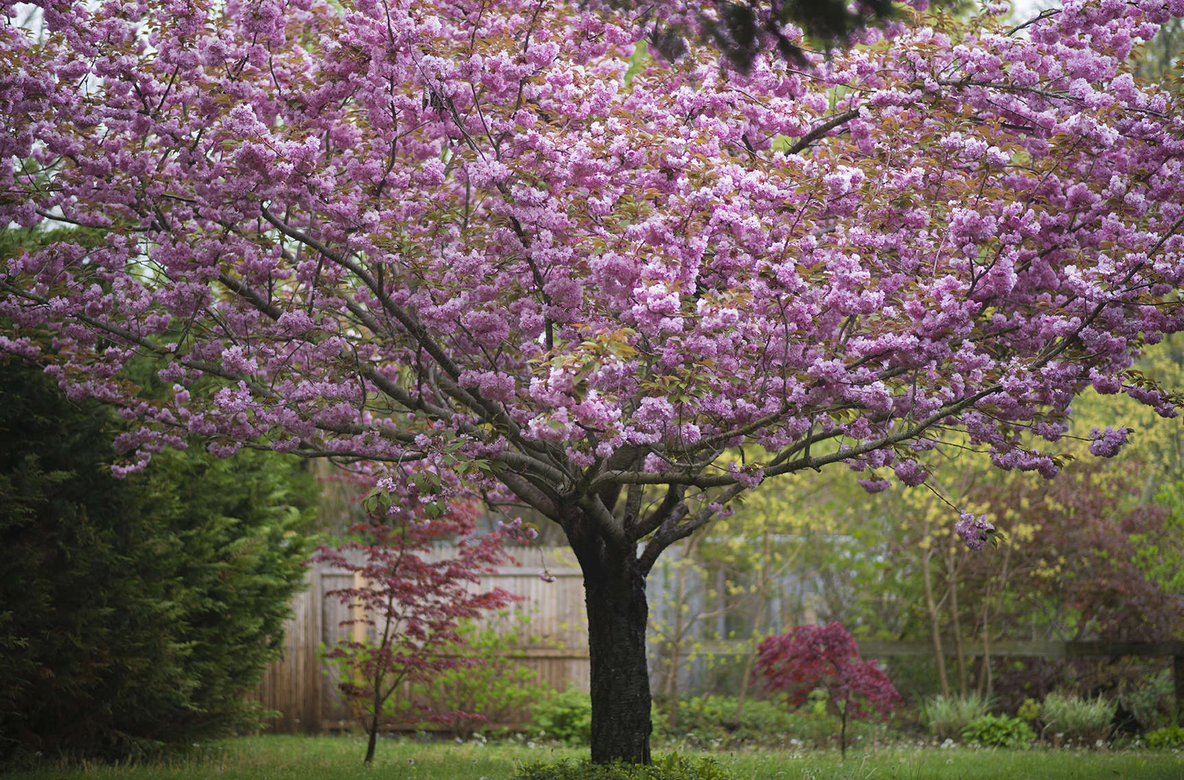 Mastic Compound - Gardenista