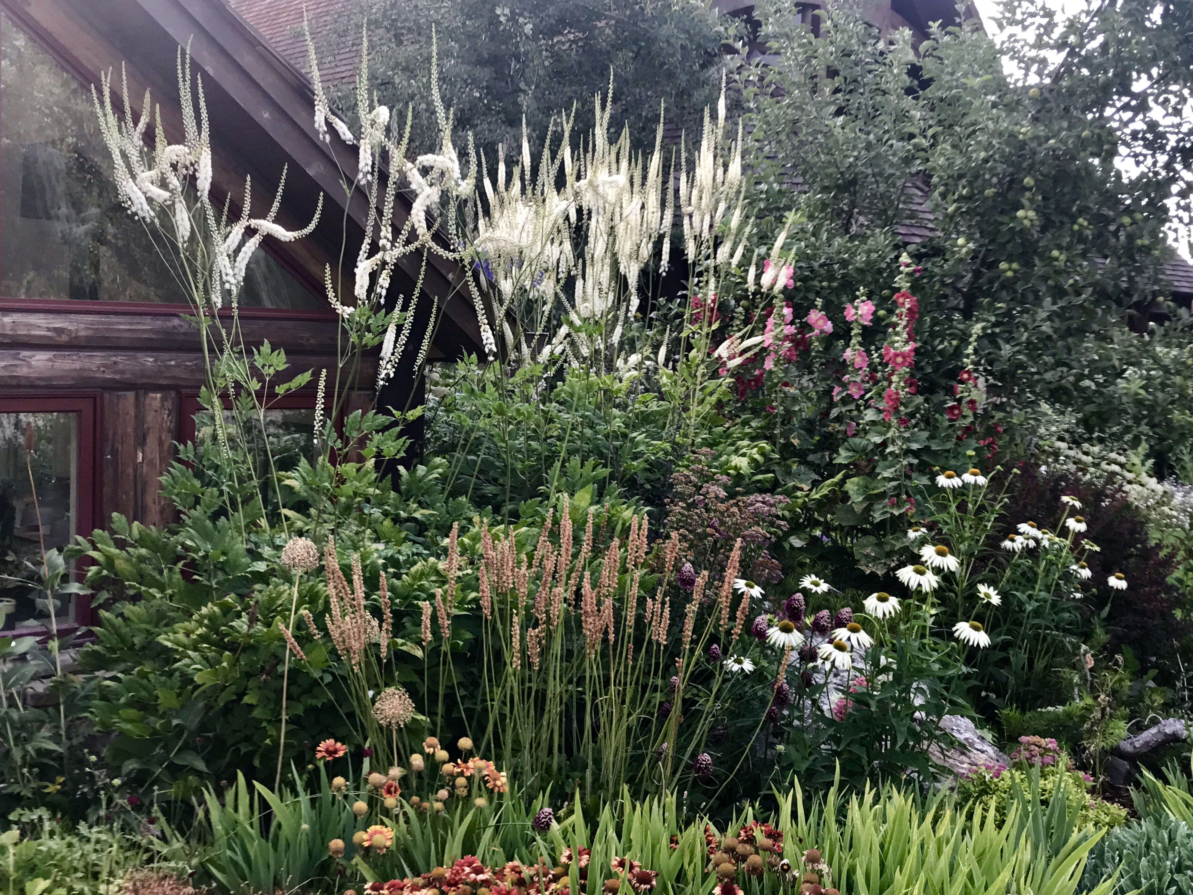 Floral Serendipity in the Bitterroot Valley of Montana - Gardenista