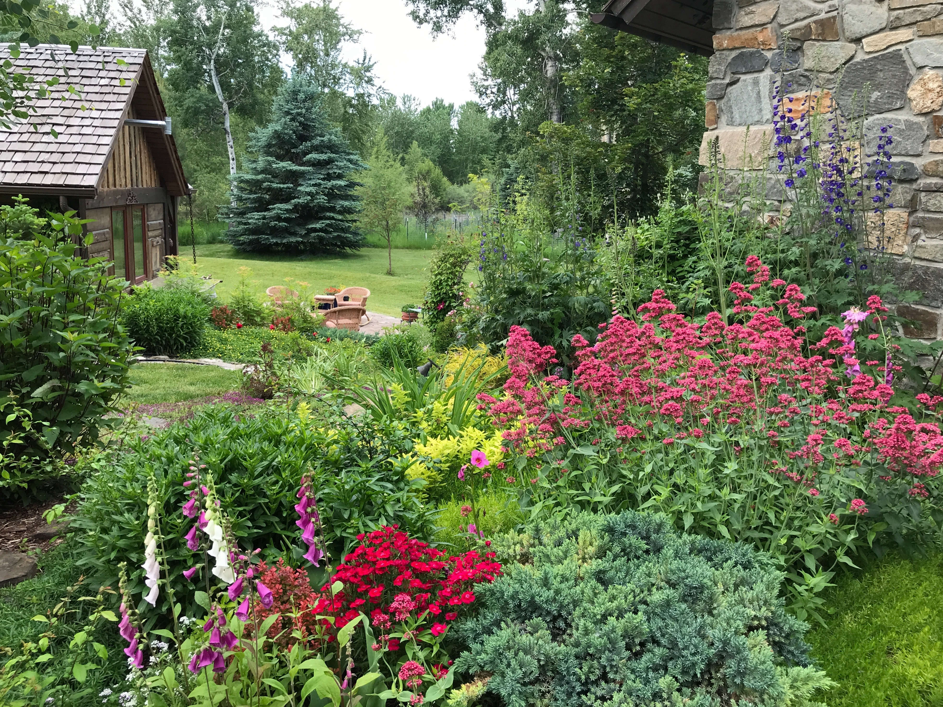 Floral Serendipity in the Bitterroot Valley of Montana - Gardenista