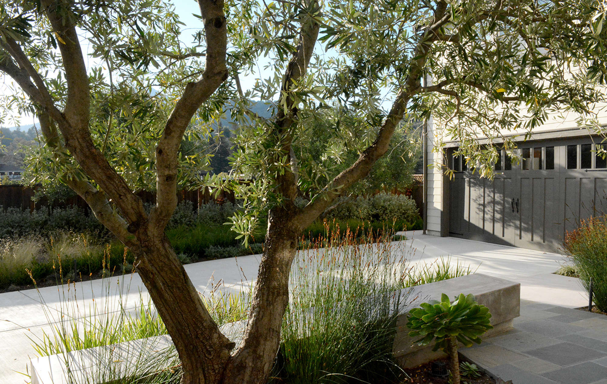 Rose Lane - Gardenista