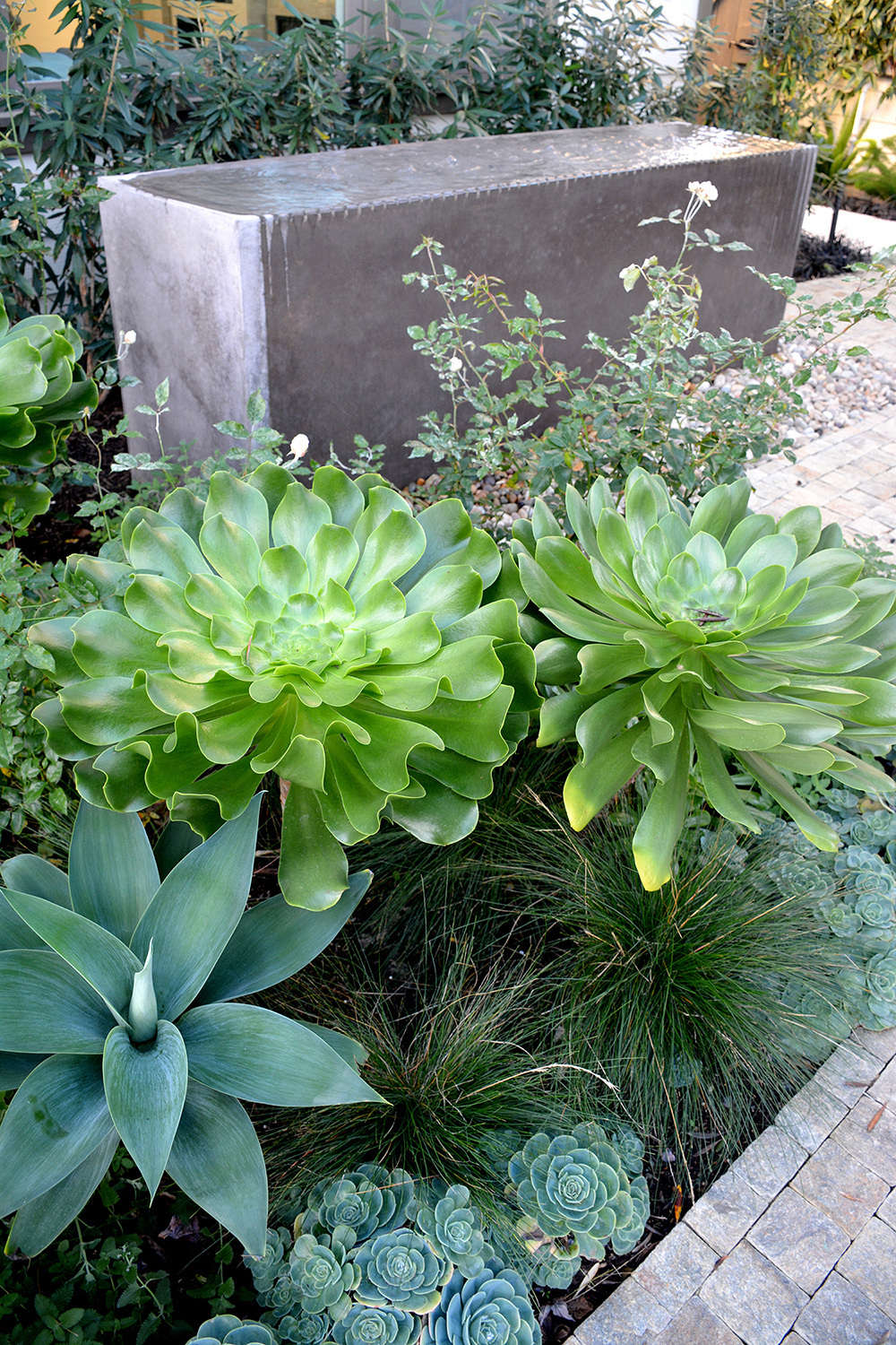 Rose Lane - Gardenista