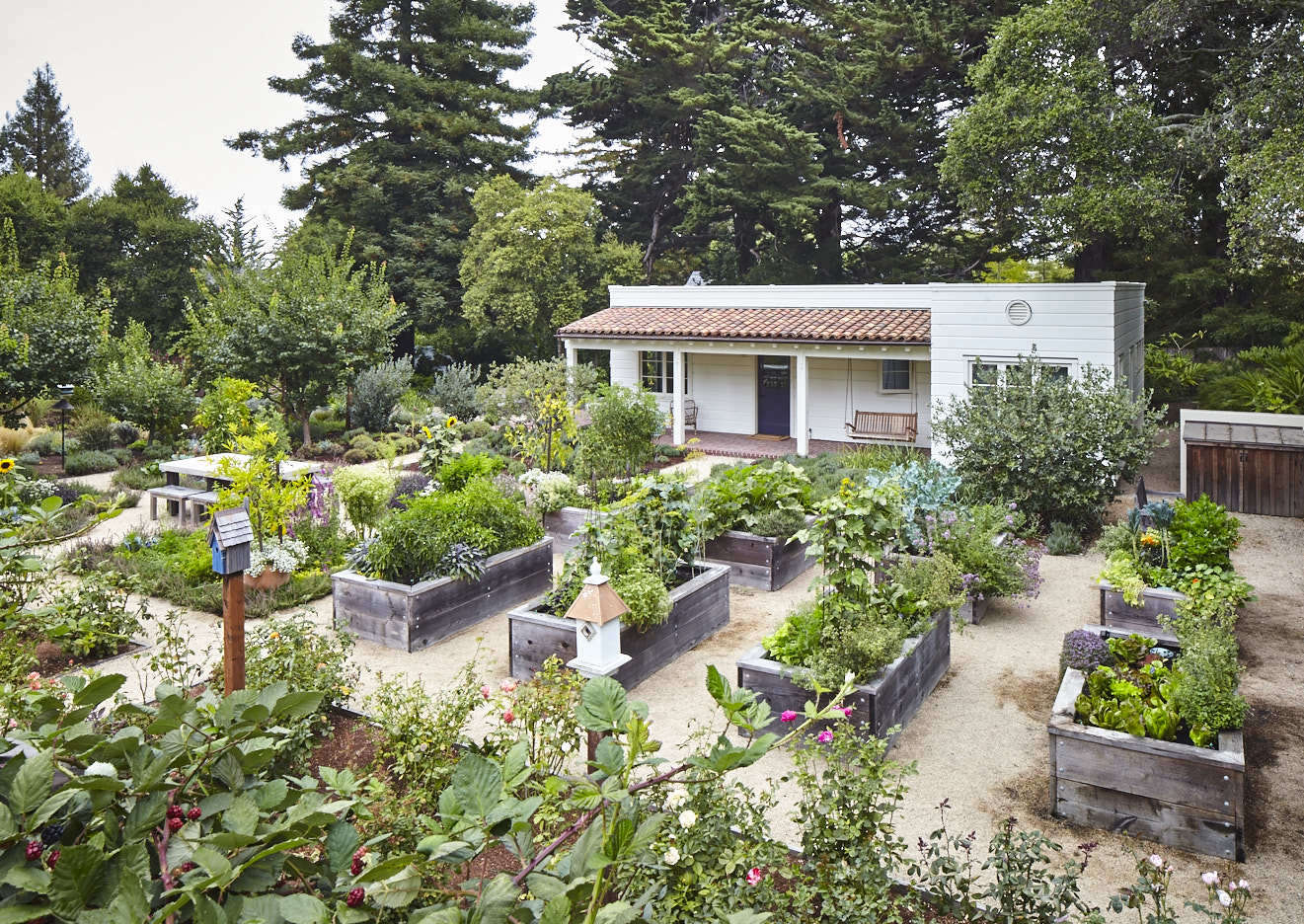 Kitchen Garden Transformation: Converting a Tennis Court to an Organic ...