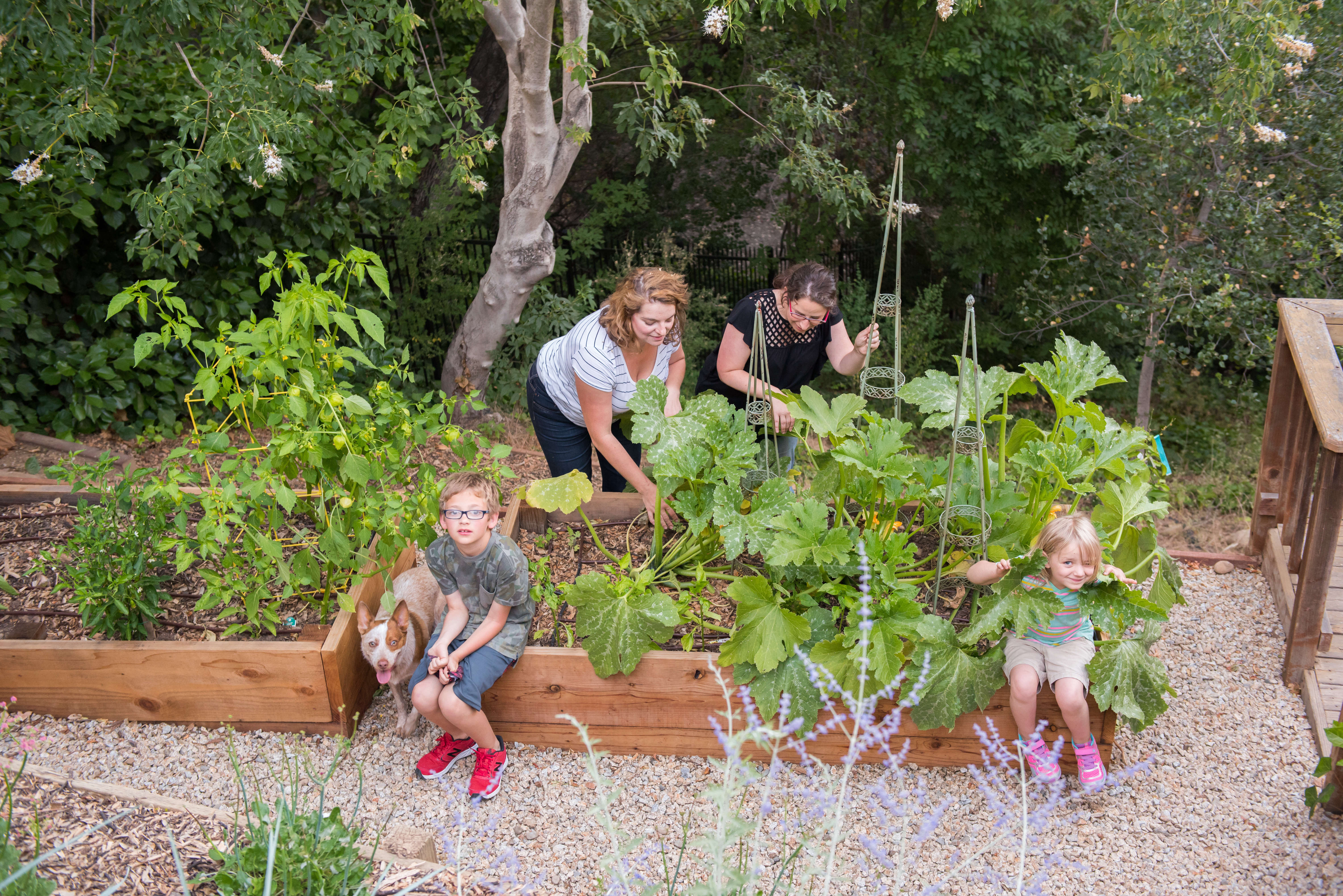 For the Love of Farming - Gardenista