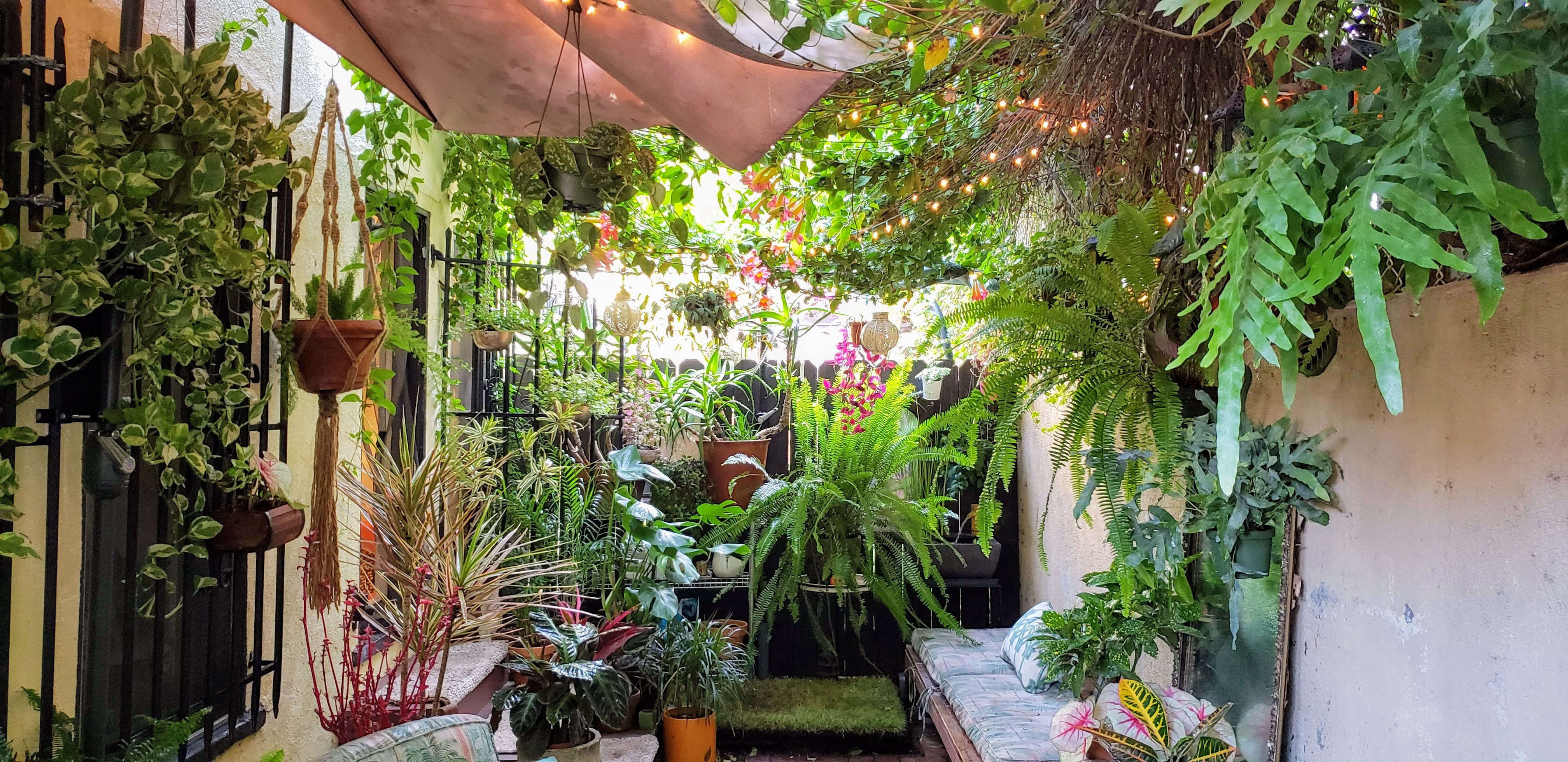 Eclectic Silver Lake Shaded Zen Garden - Gardenista